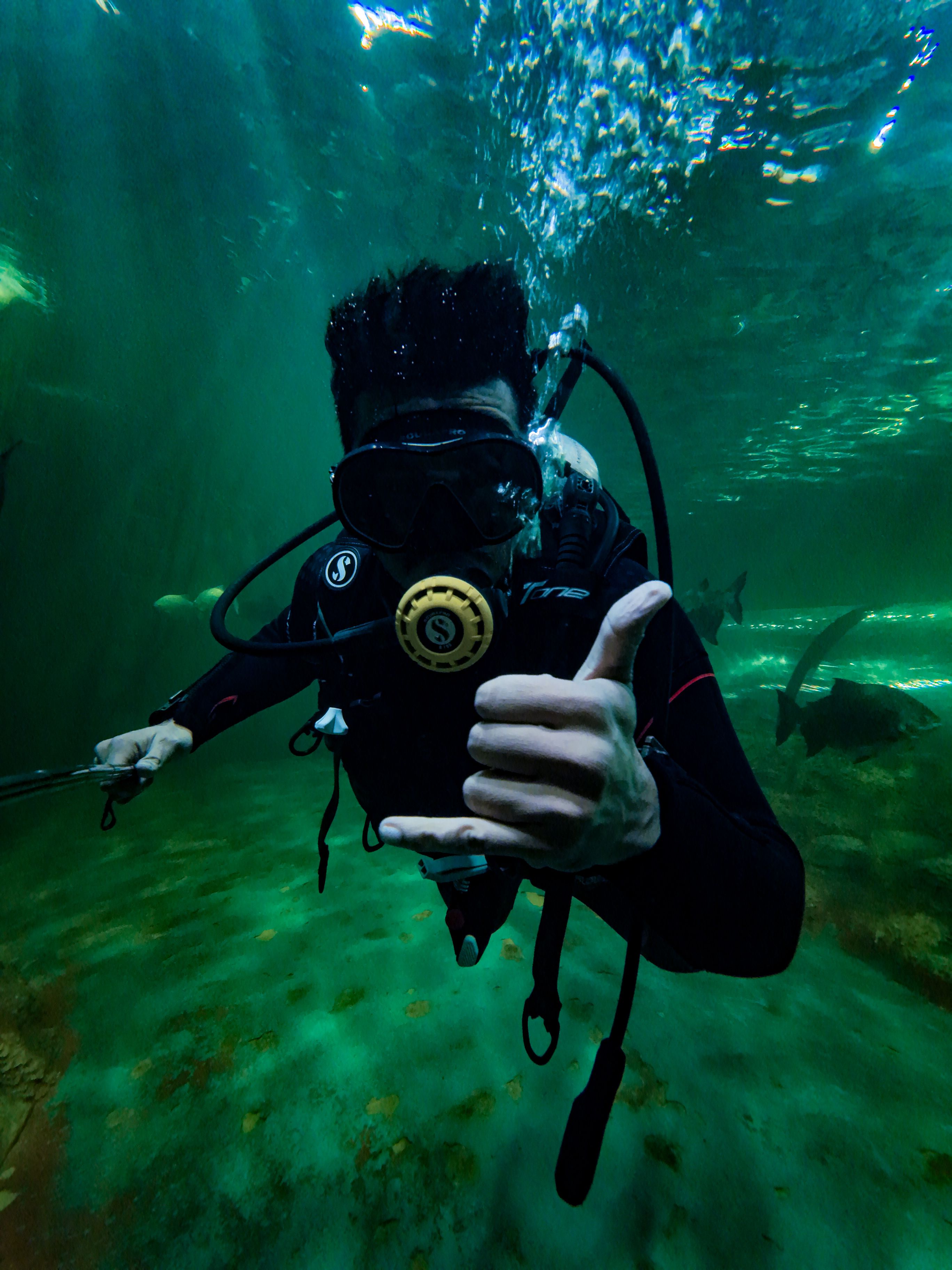 OK Signal Made Underwater by Scuba Diver · Free Stock Photo