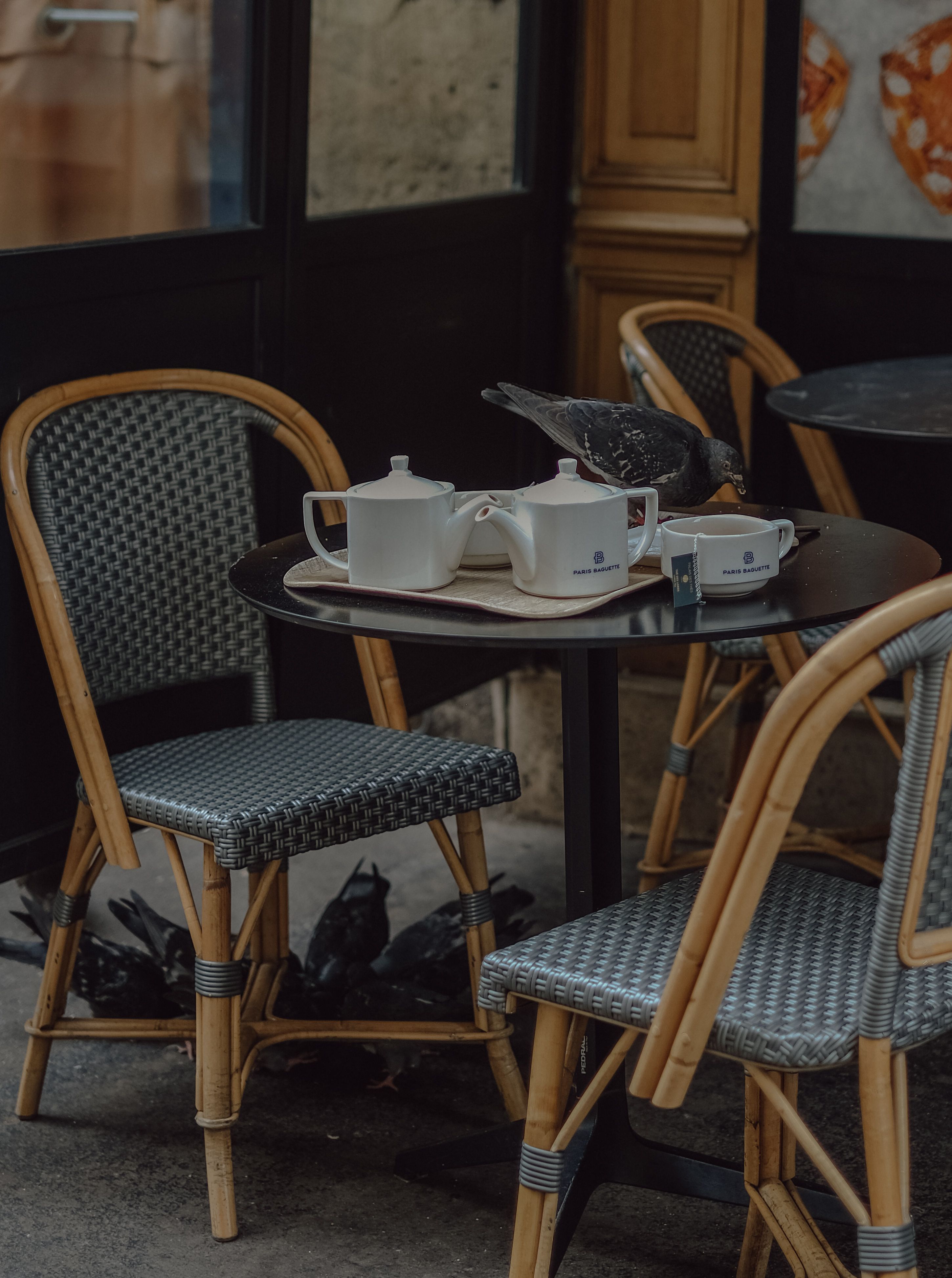 Charming Cafe Scene with Pigeons Outdoors · Free Stock Photo