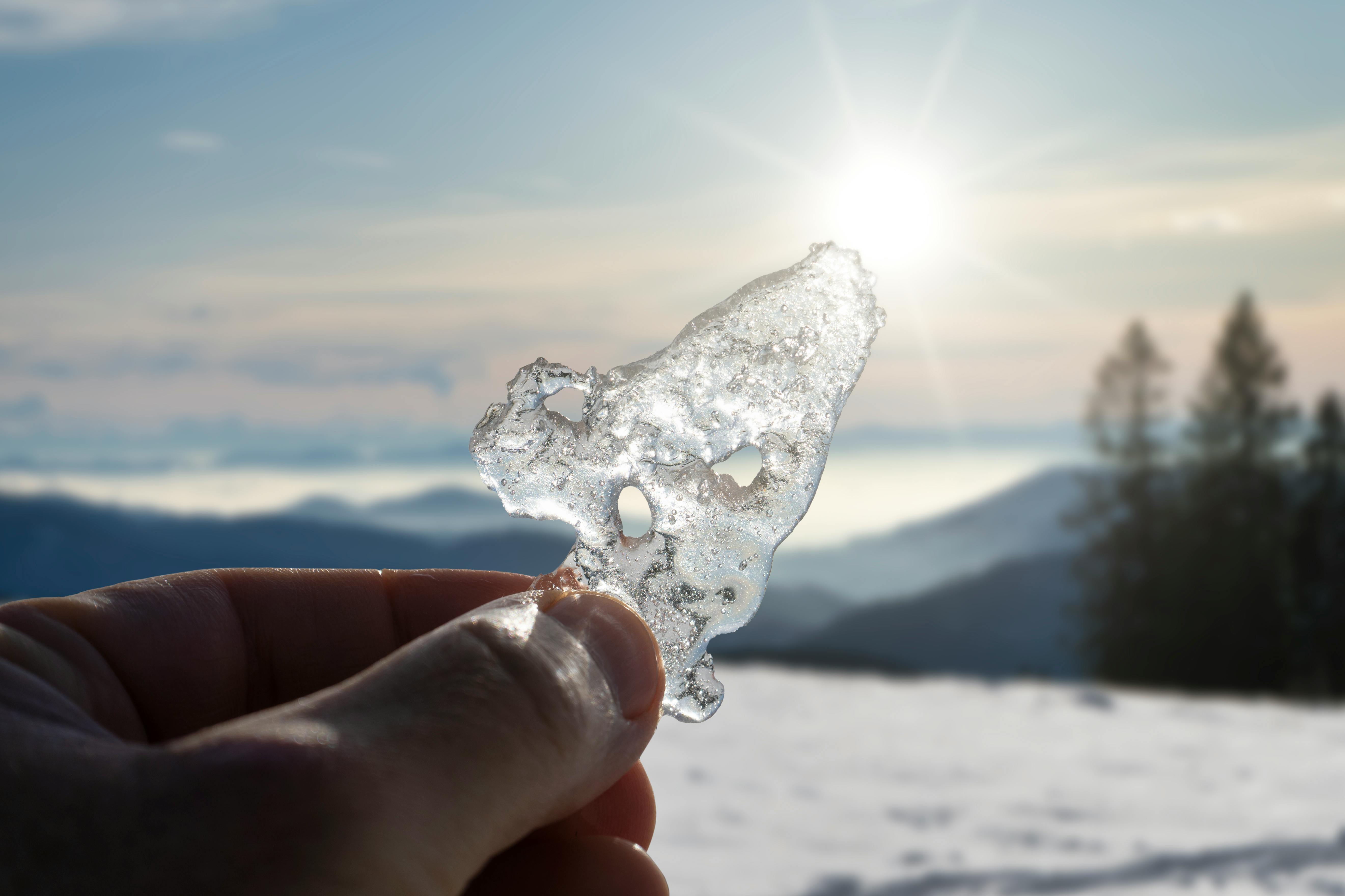 Free stock photo of black forest, cold, freezing