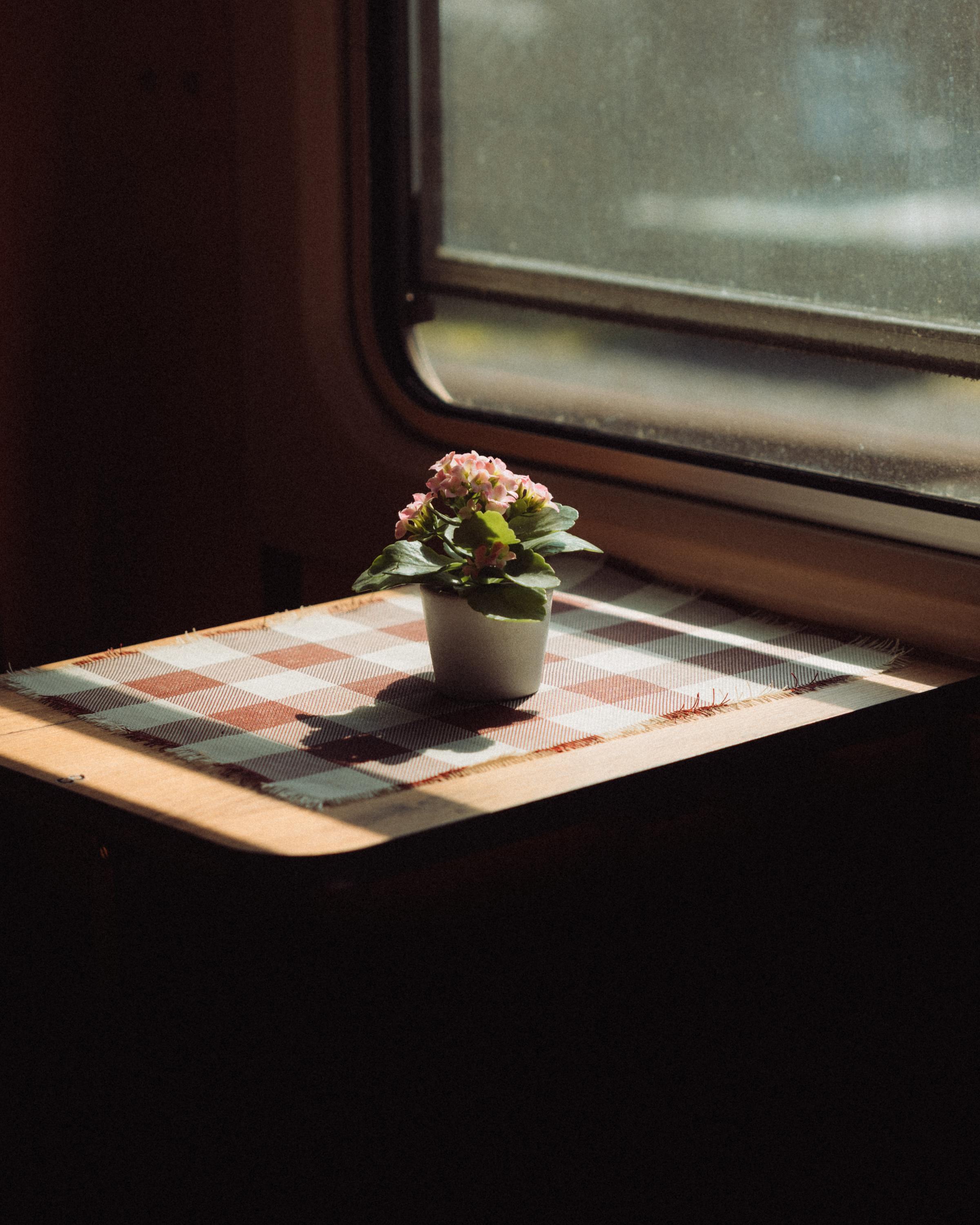 Scroller+Girls+Small+Size+Hd Photos, Download The BEST Free Scroller ...