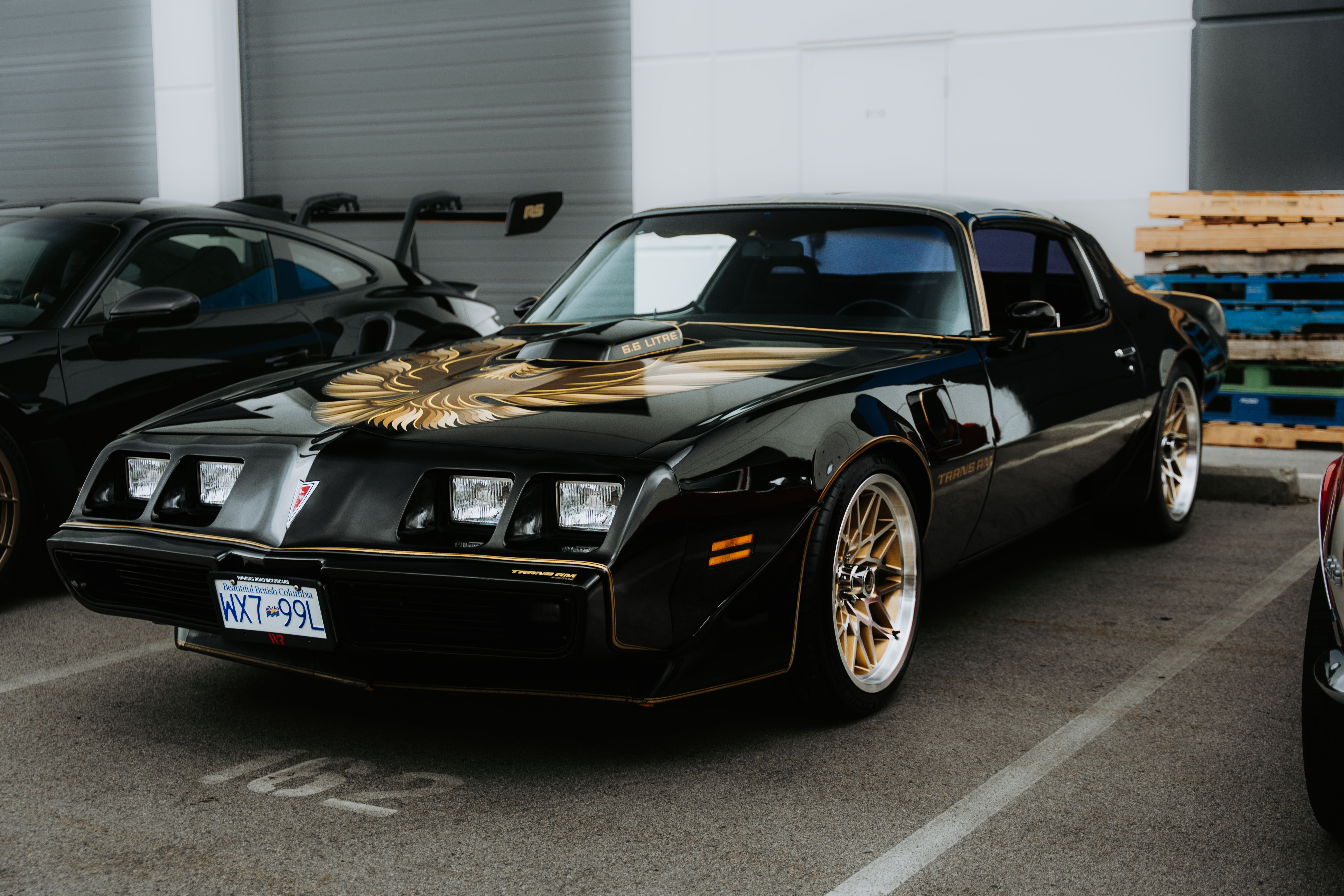 1988 Pontiac Firebird Pro Am 1 Photos, Download The BEST Free 1988 ...