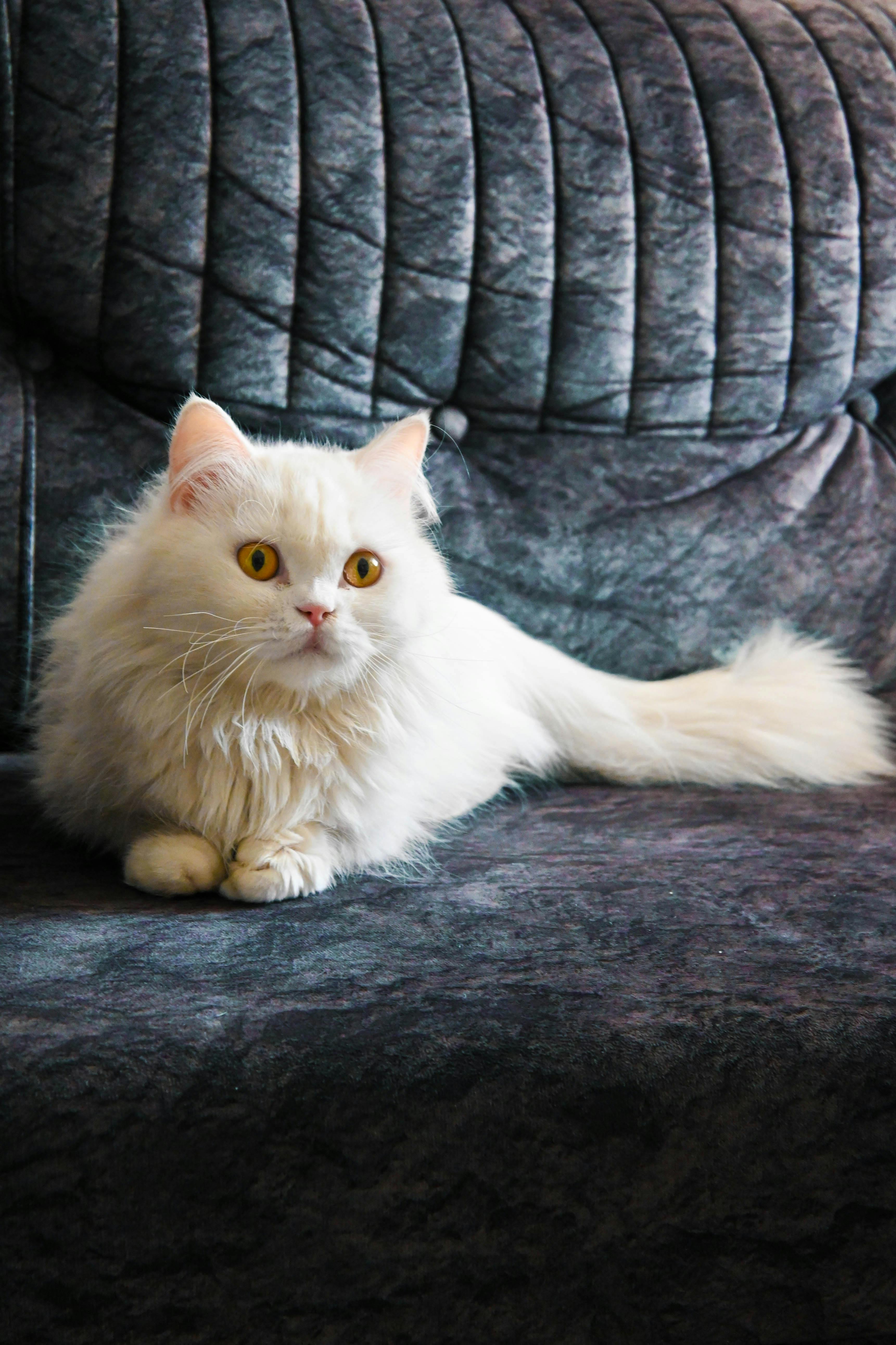 Tuff+Wallpapers+For+Desktop Photos, Download The BEST Free Tuff ...