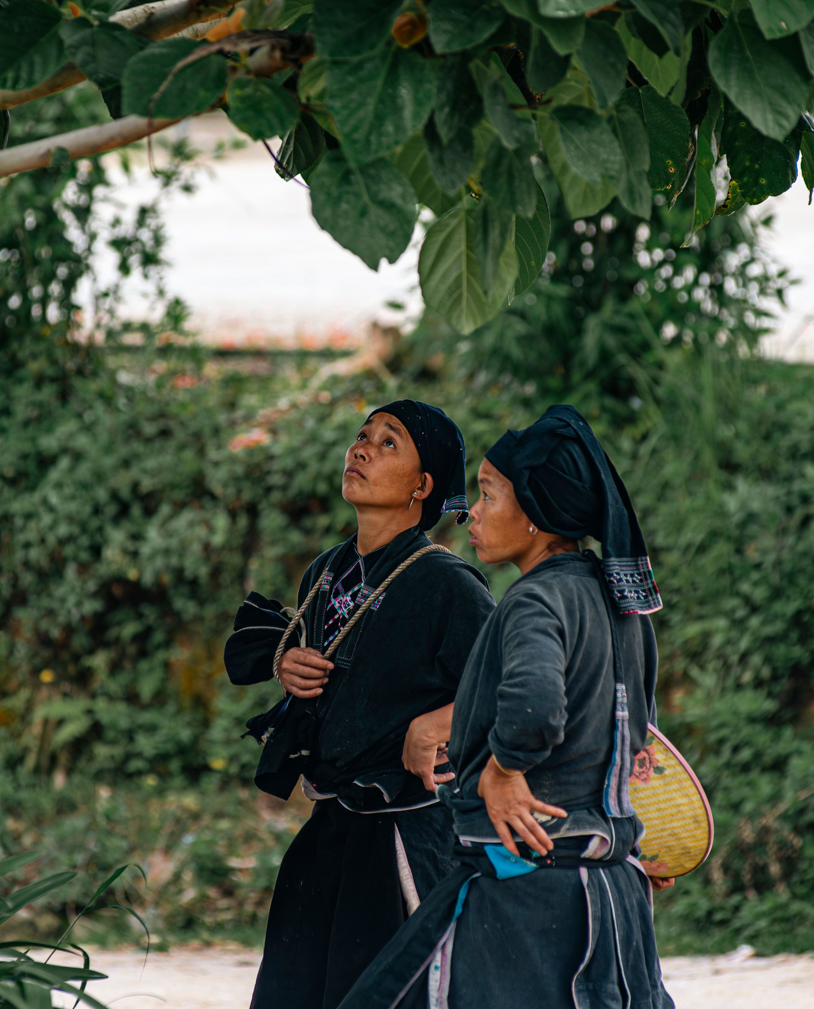 Ethnic Hmong People Observing Nature in Vietnam · Free Stock Photo