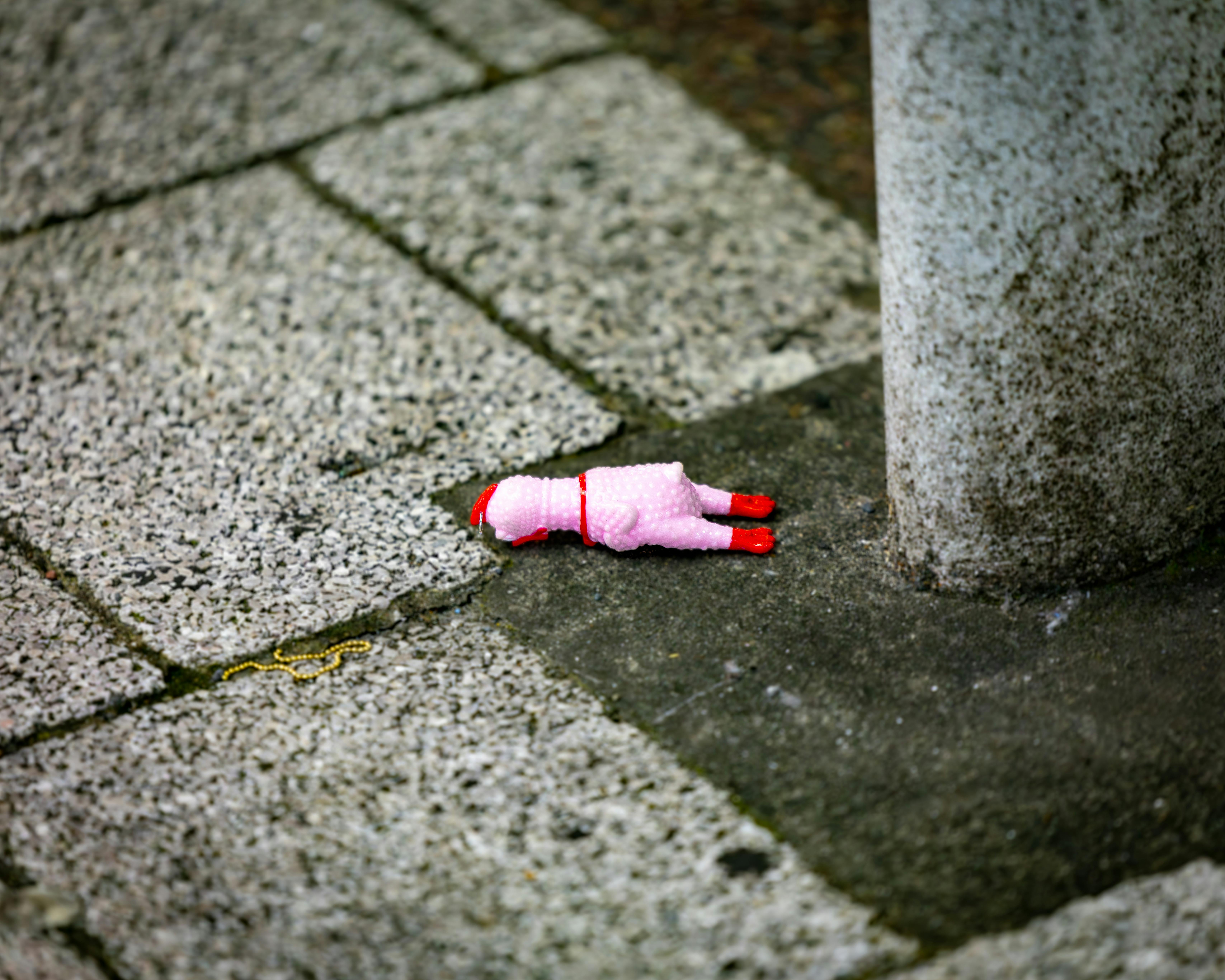 Display Of Neglect Photos, Download The BEST Free Display Of Neglect ...