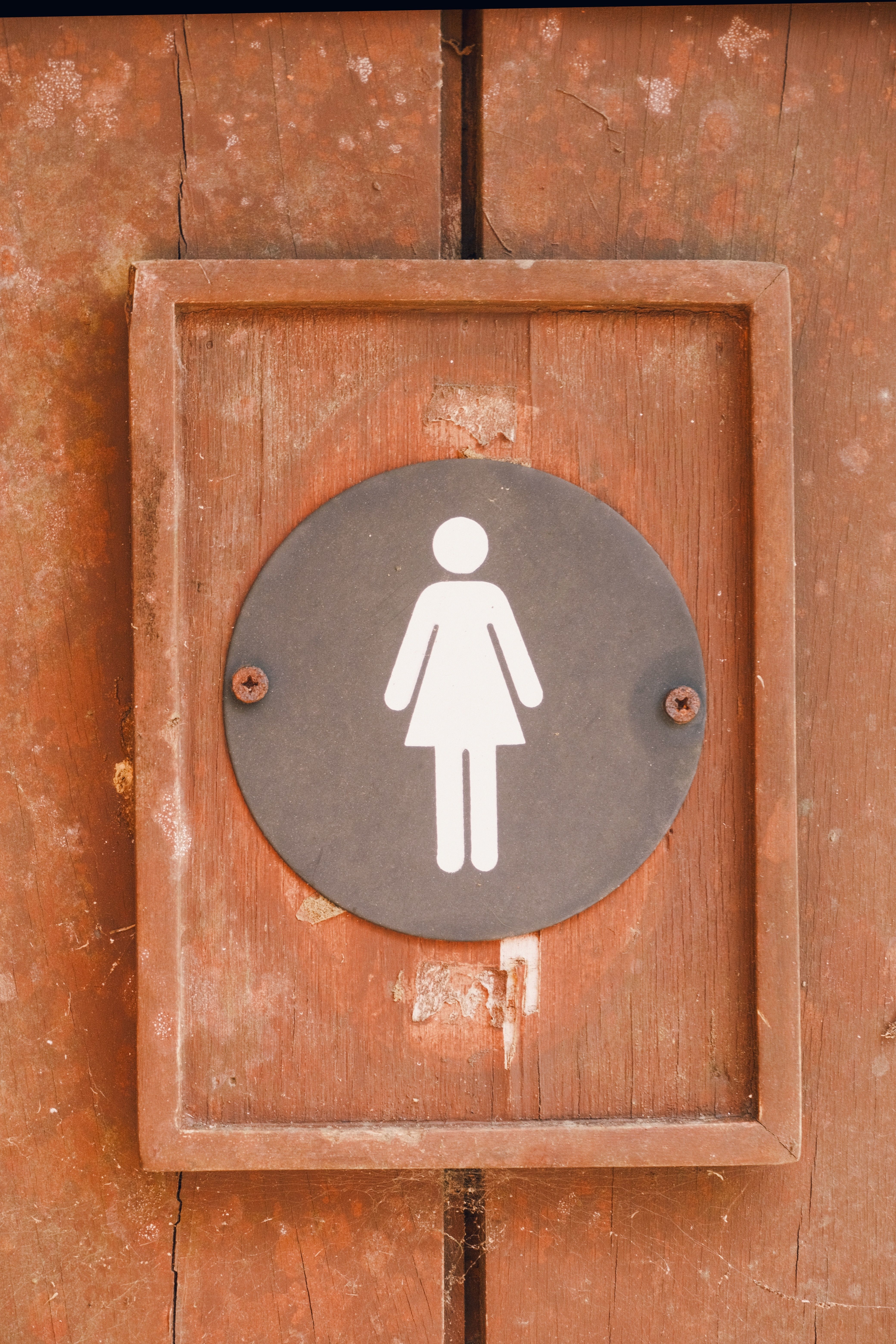 Toilet Cartoon Photos, Download The BEST Free Toilet Cartoon Stock ...