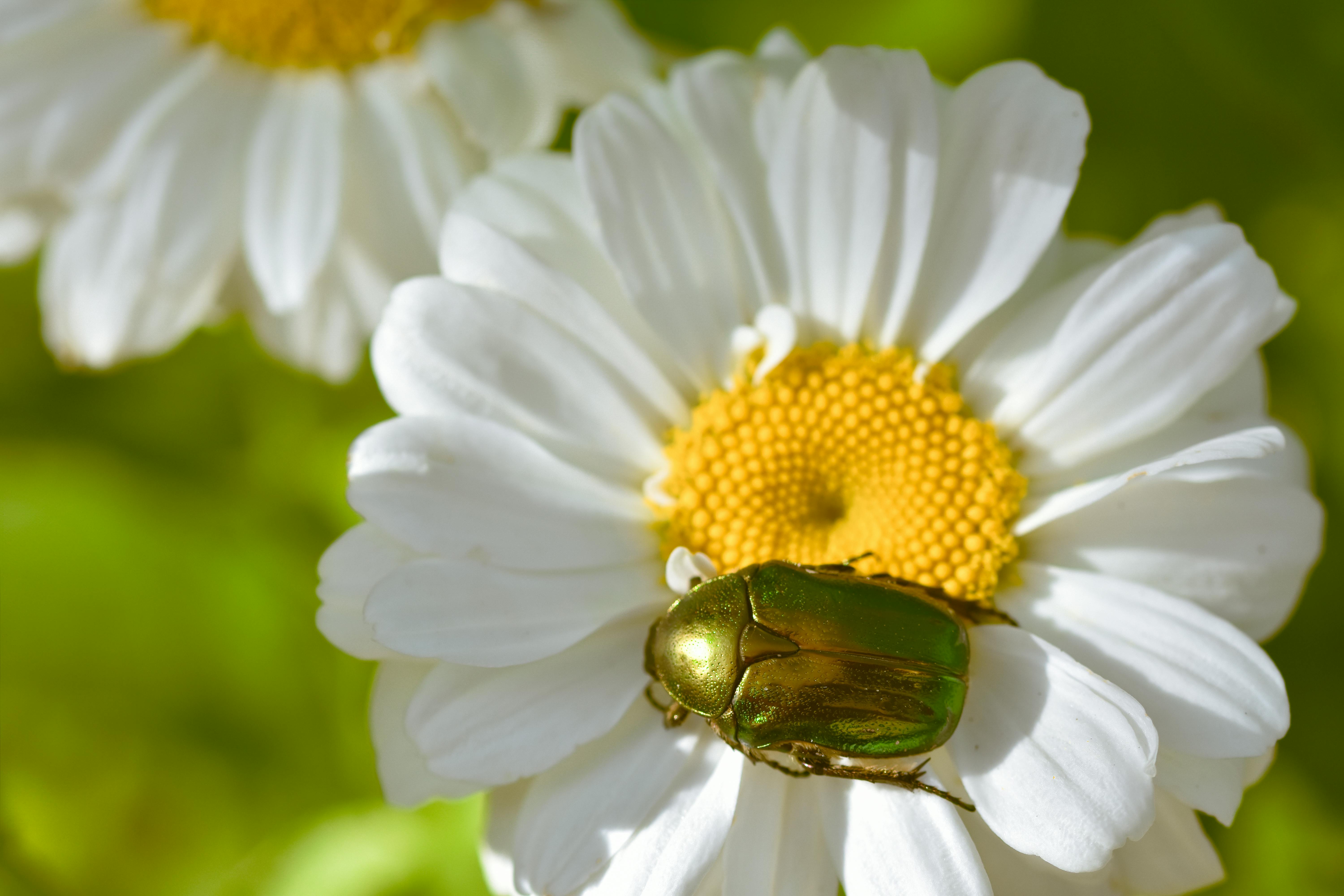 Tuff+Wallpapers+For+Desktop Photos, Download The BEST Free Tuff ...