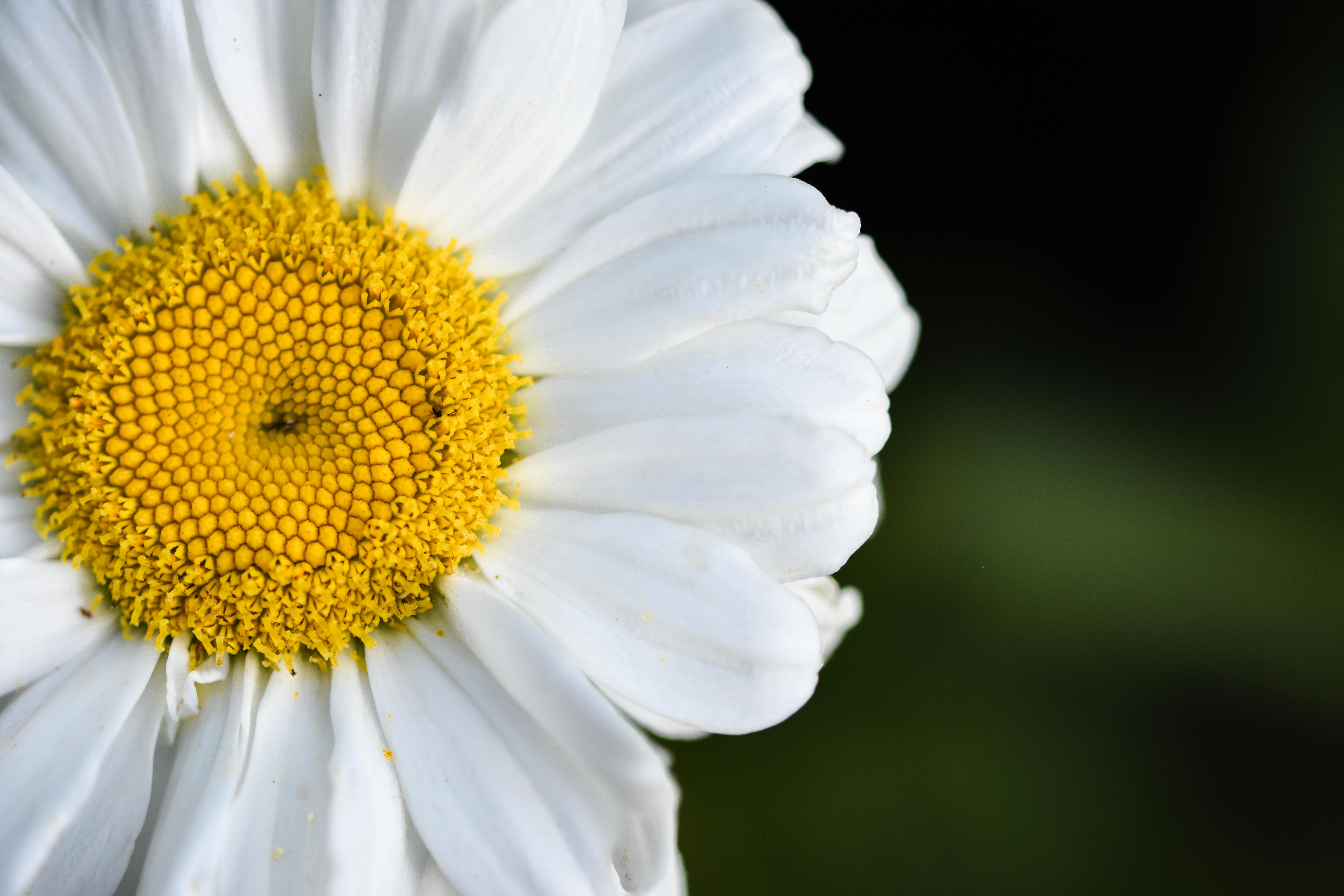 Tuff+Wallpapers+For+Desktop Photos, Download The BEST Free Tuff ...