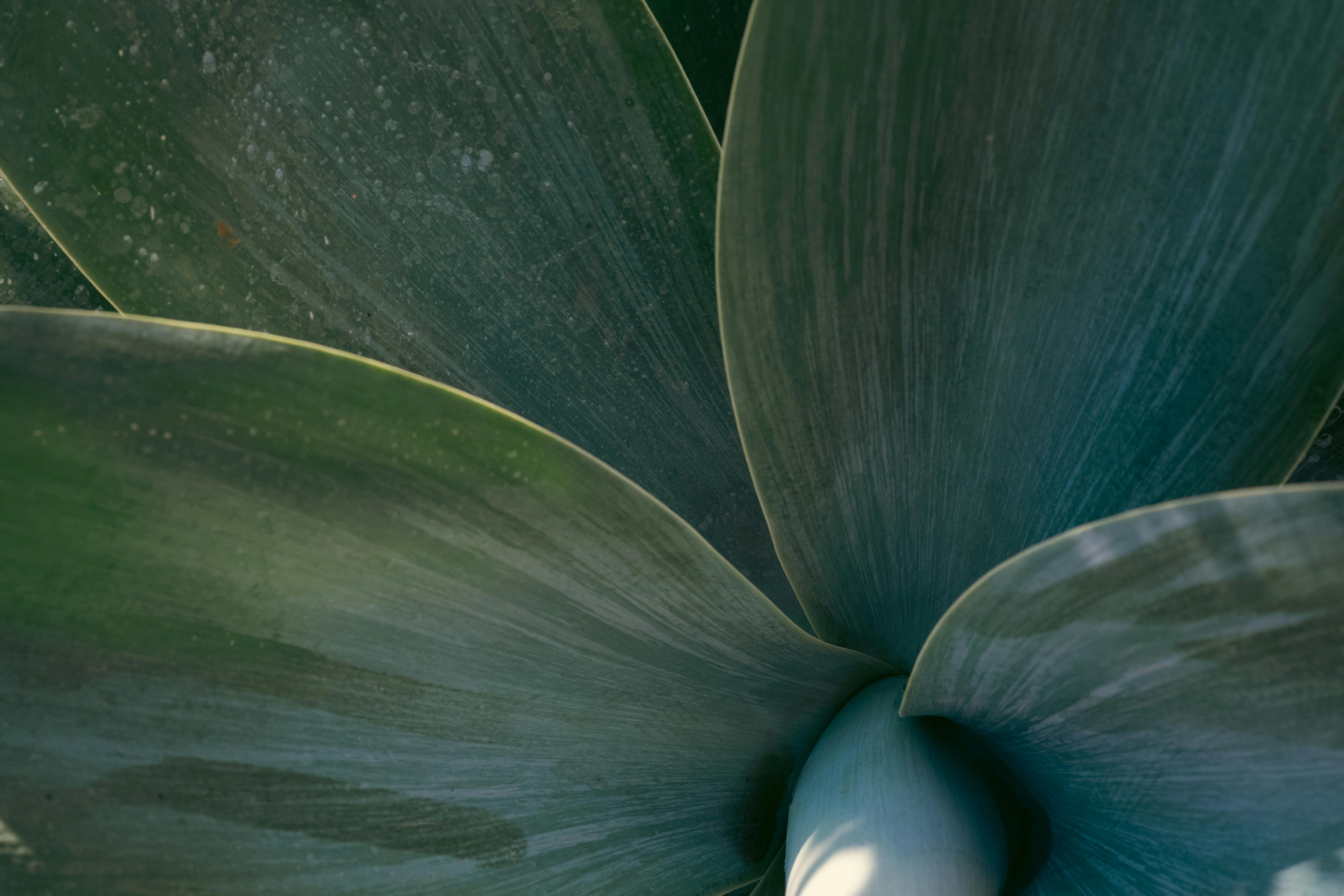 Calming Backgrounds Photos, Download The BEST Free Calming Backgrounds ...