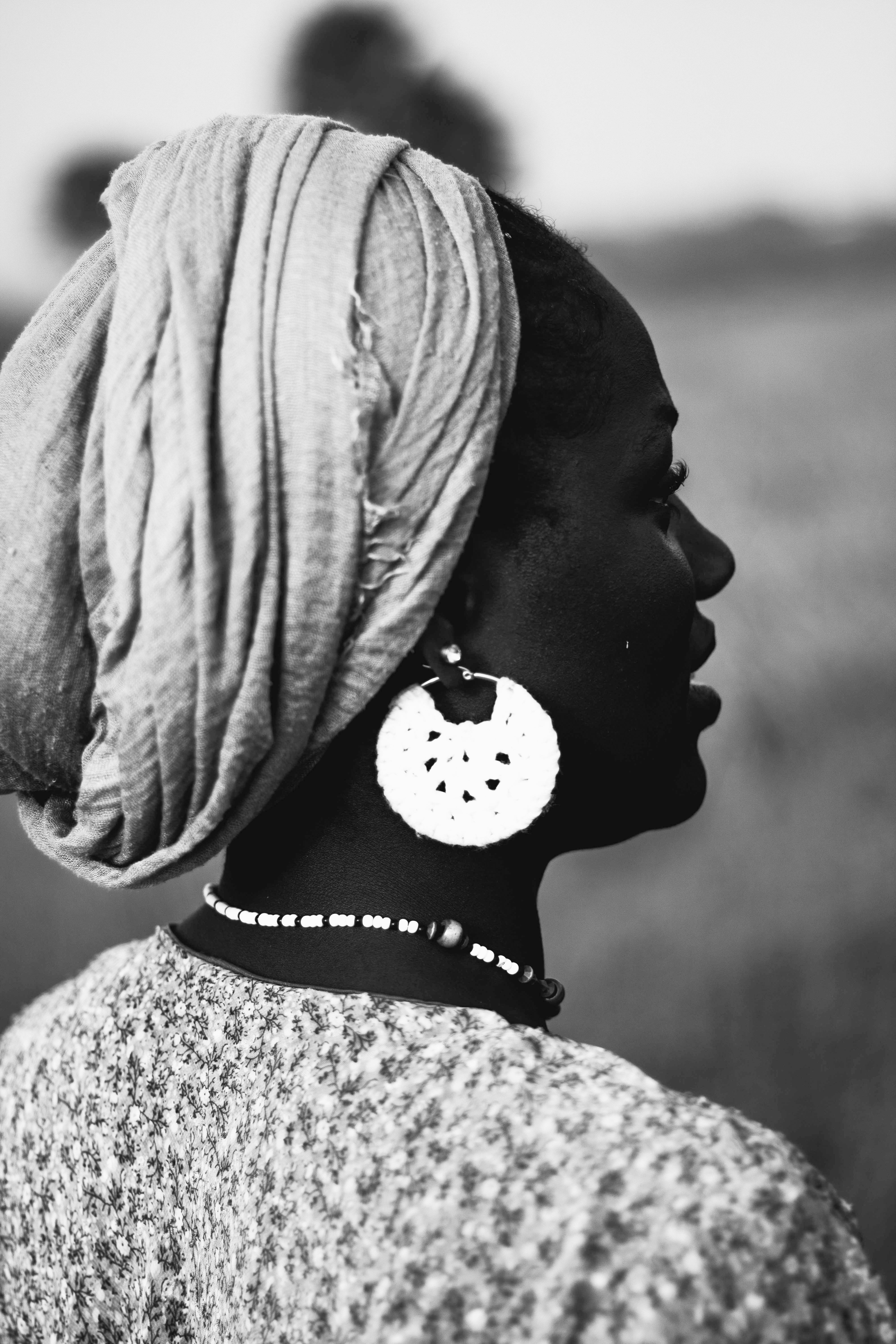 Simple Alpaca Photos, Download The BEST Free Simple Alpaca Stock Photos ...