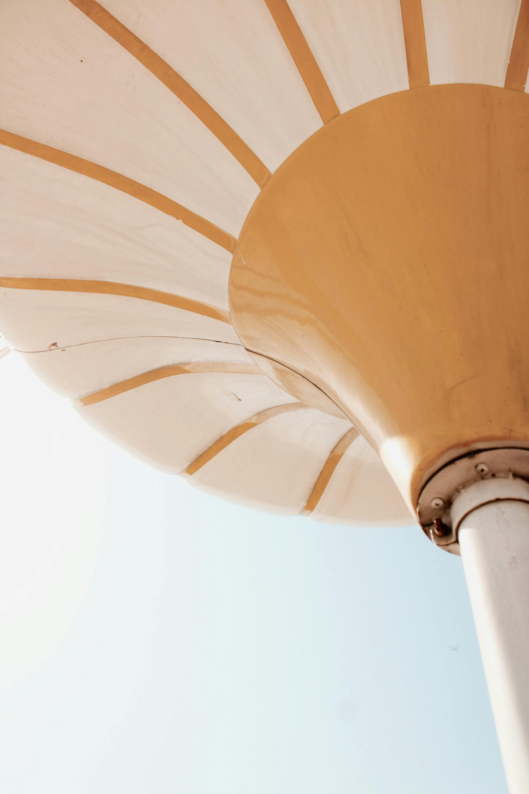 Function Photos, Download The BEST Free Function Stock Photos & HD Images