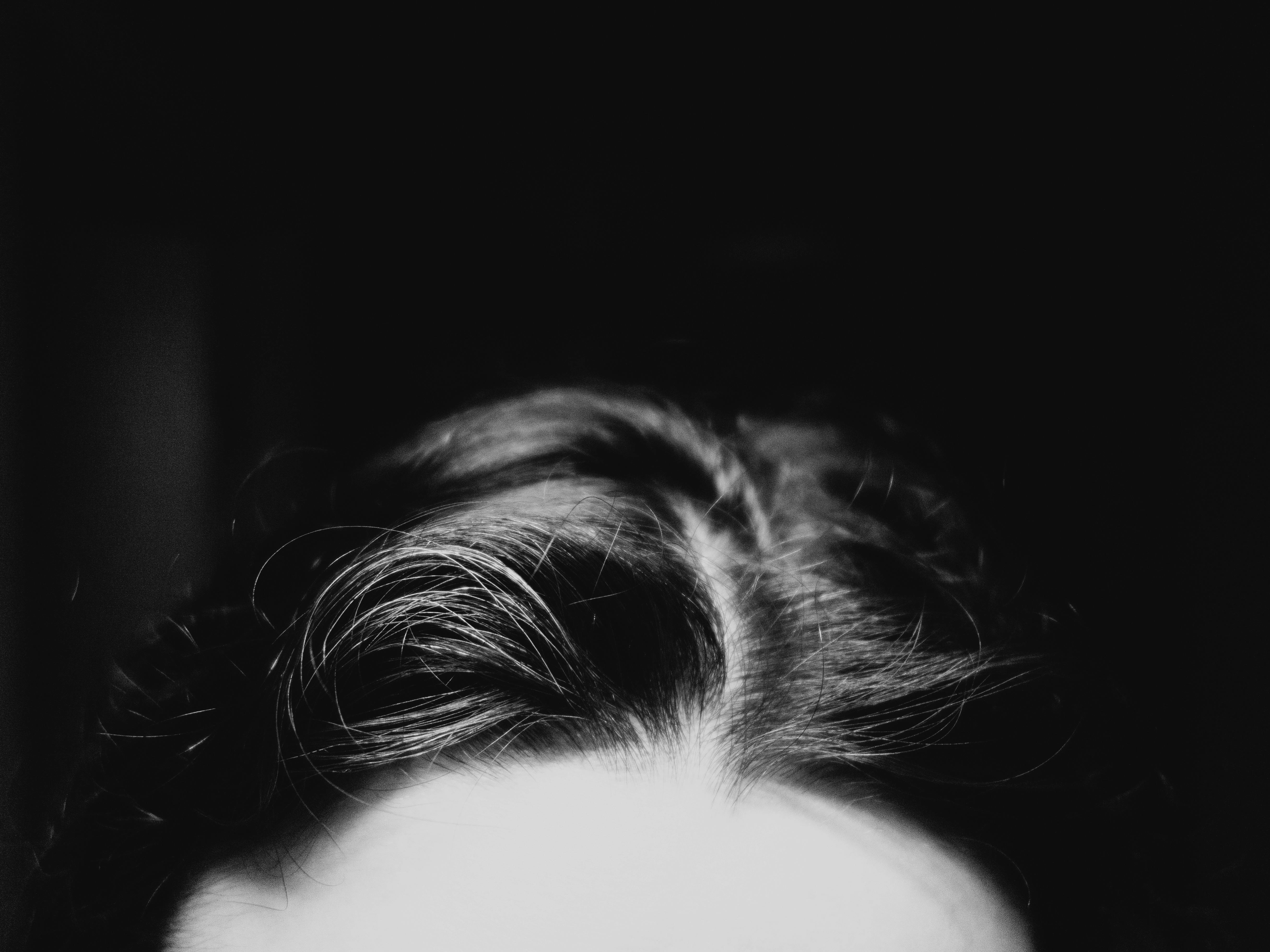 Head Women Photos, Download The BEST Free Head Women Stock Photos & HD ...