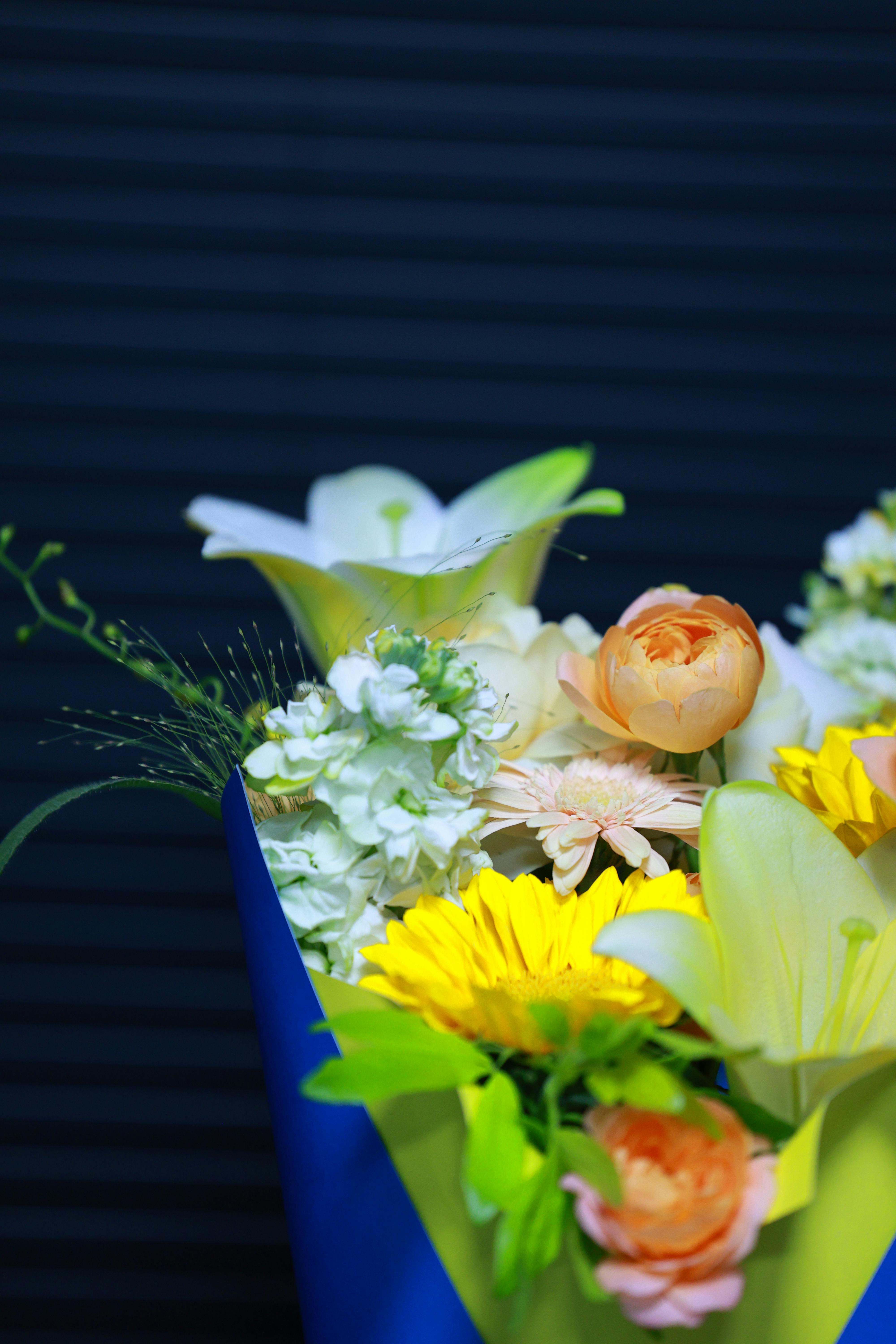 Andy Lee - Photography