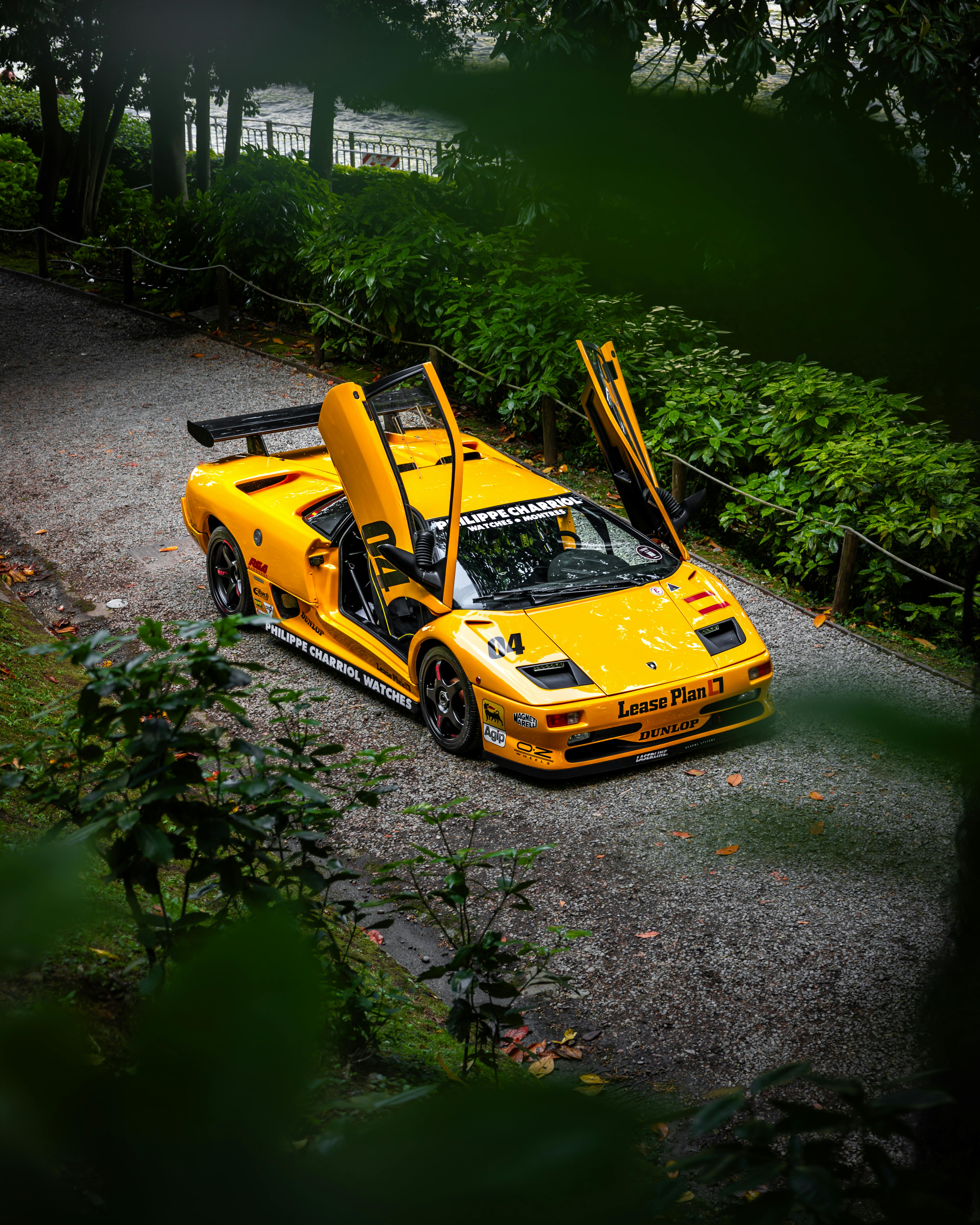 Fast Turtle Photos, Download The BEST Free Fast Turtle Stock Photos ...