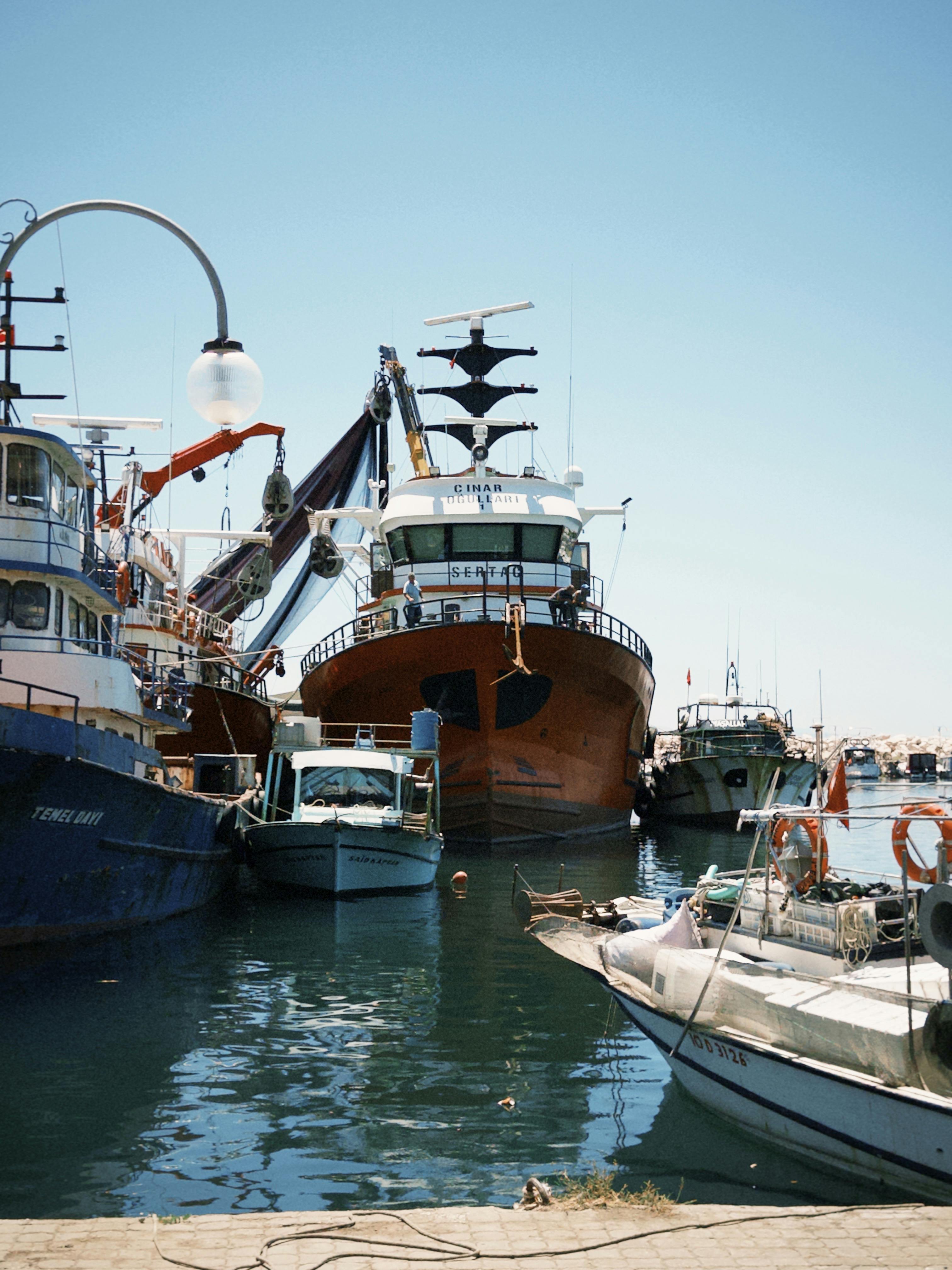 Fishing Boats Docked in a Busy Harbor Scene · Free Stock Photo