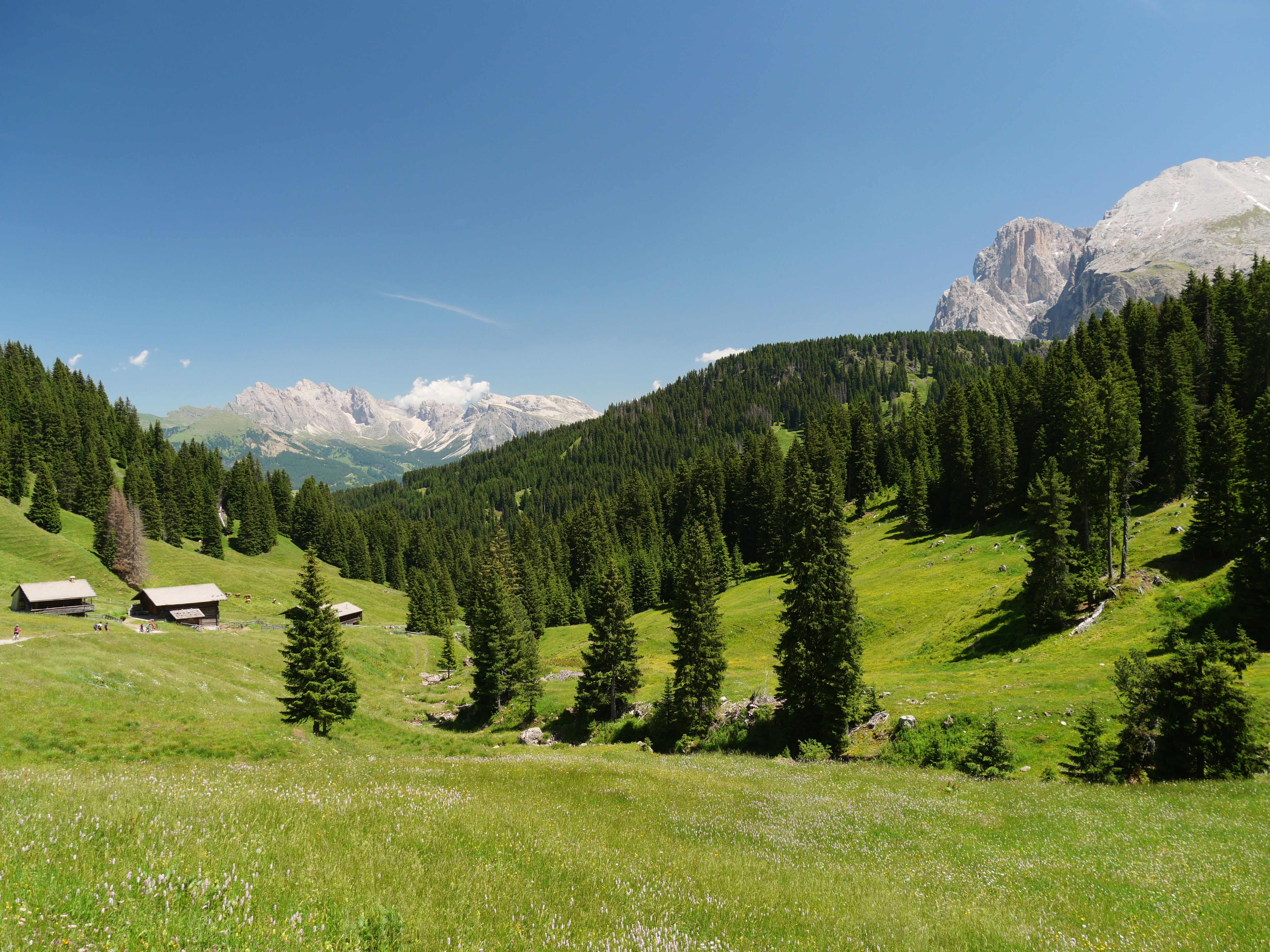 Stunning View of Seiser Alm in Summer · Free Stock Photo