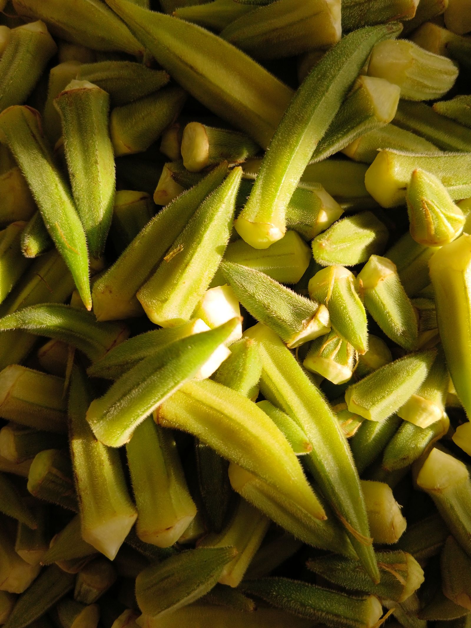 Okra Photos, Download The BEST Free Okra Stock Photos & HD Images