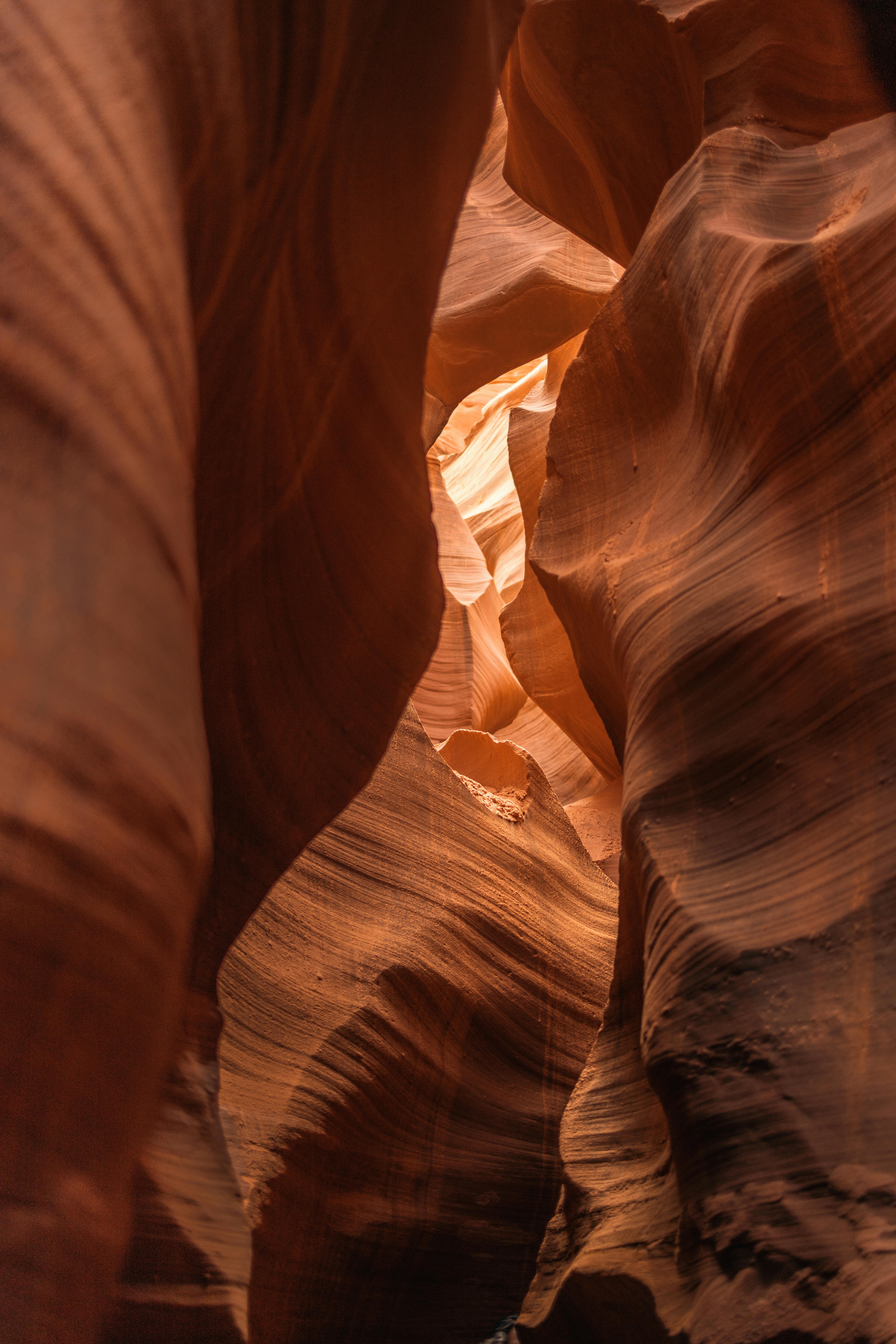 Goon+Pics Photos, Download The BEST Free Goon+Pics Stock Photos & HD Images