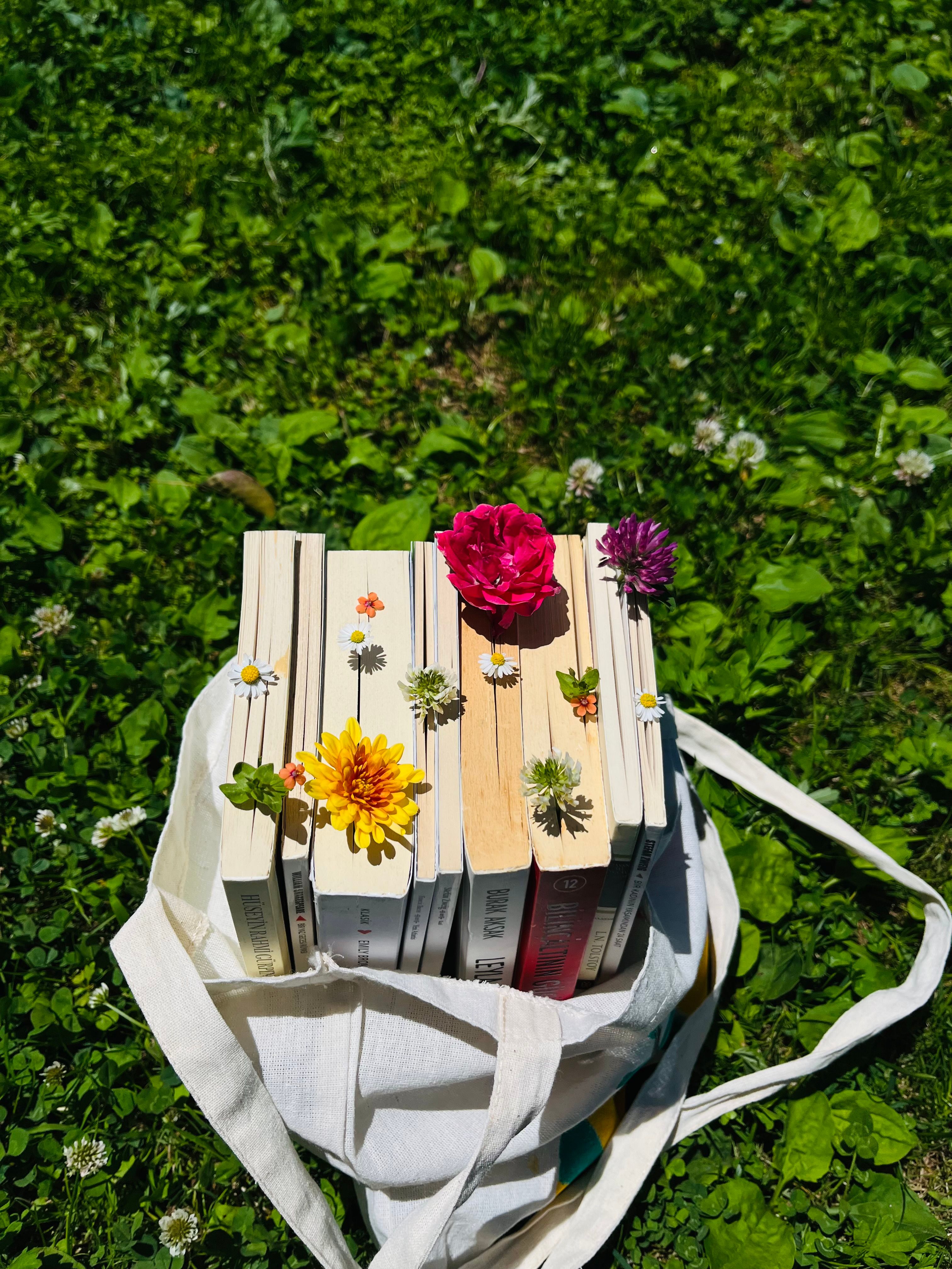 Book Aesthetic Photos, Download The BEST Free Book Aesthetic Stock ...