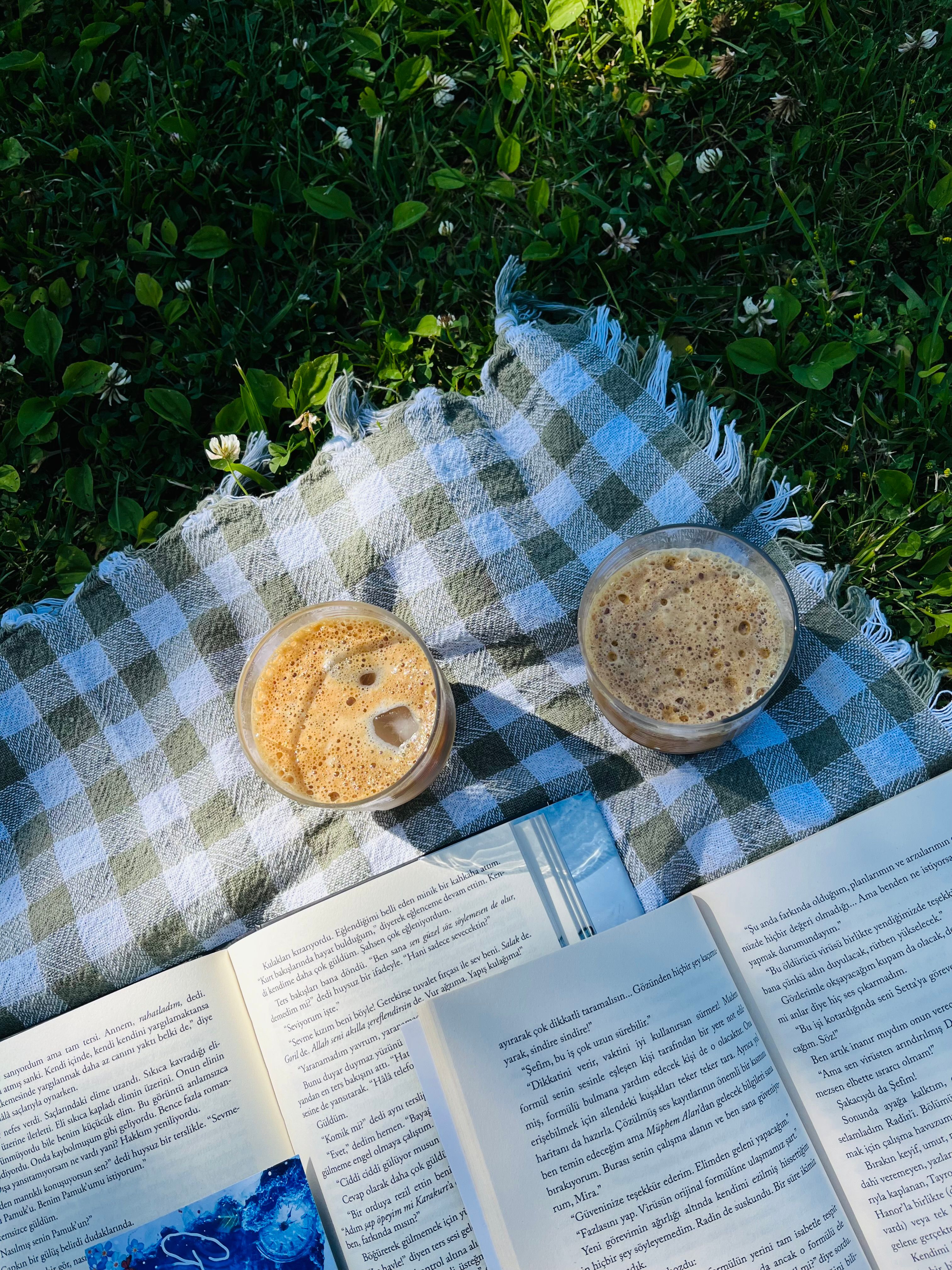 Cozy Outdoor Coffee and Reading Picnic Setup · Free Stock Photo