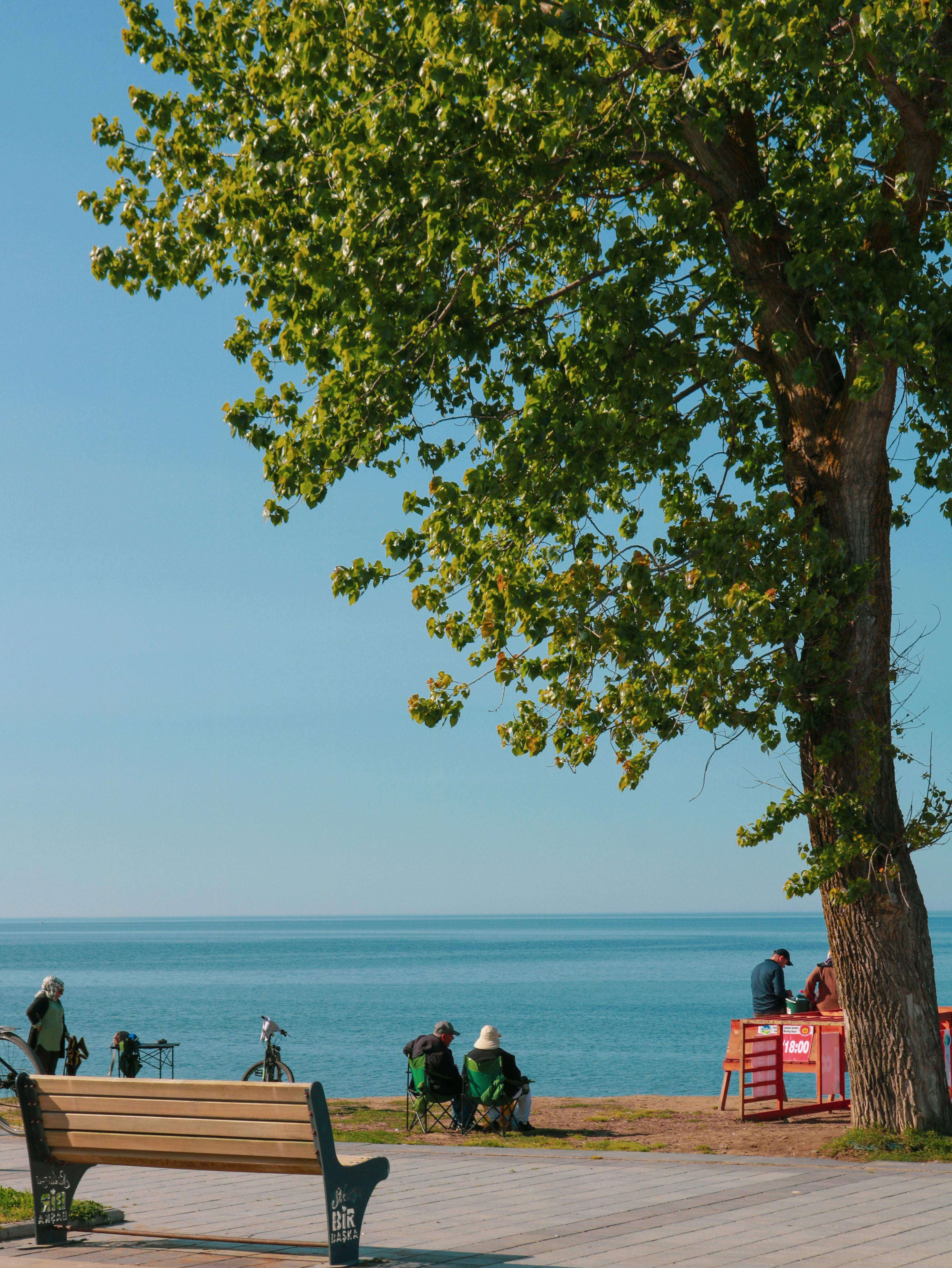 Observation Photos, Download The BEST Free Observation Stock Photos ...