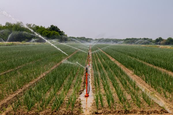 Irrigation Photos, Download The BEST Free Irrigation Stock Photos & HD ...