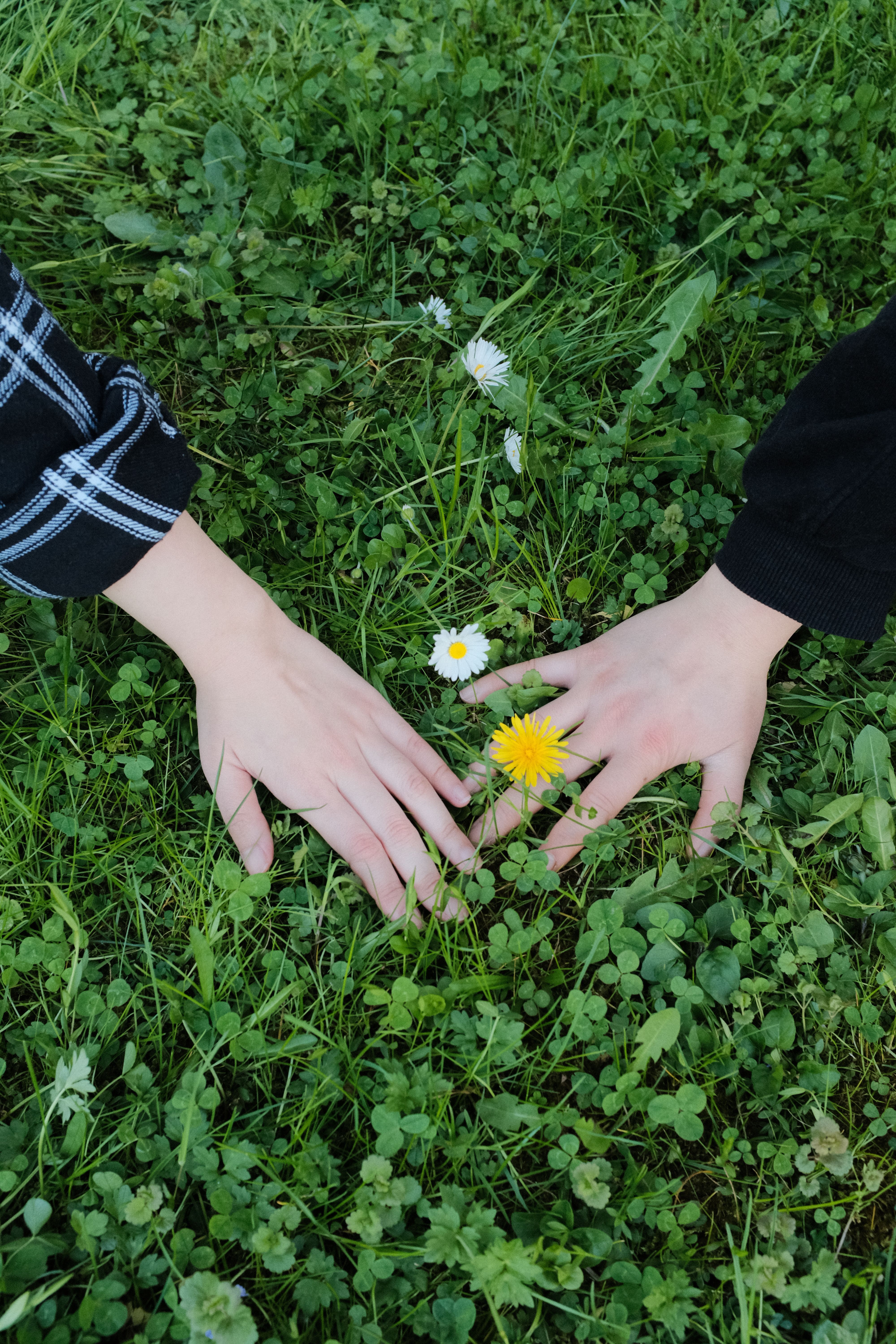 Hands Touching Temples Photos, Download The BEST Free Hands Touching ...