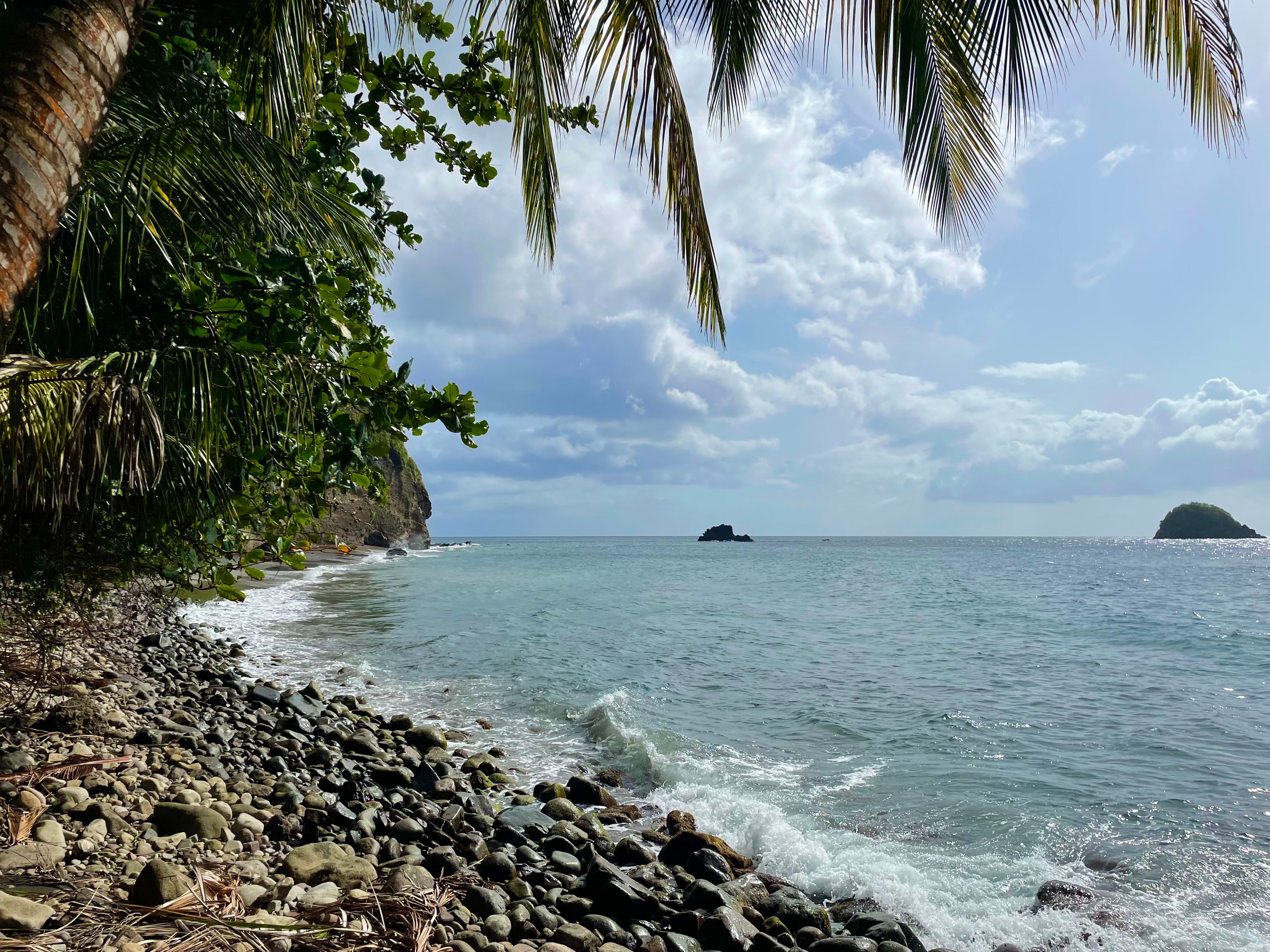 Tropical Beach Scene in Le Prêcheur, Martinique · Free Stock Photo