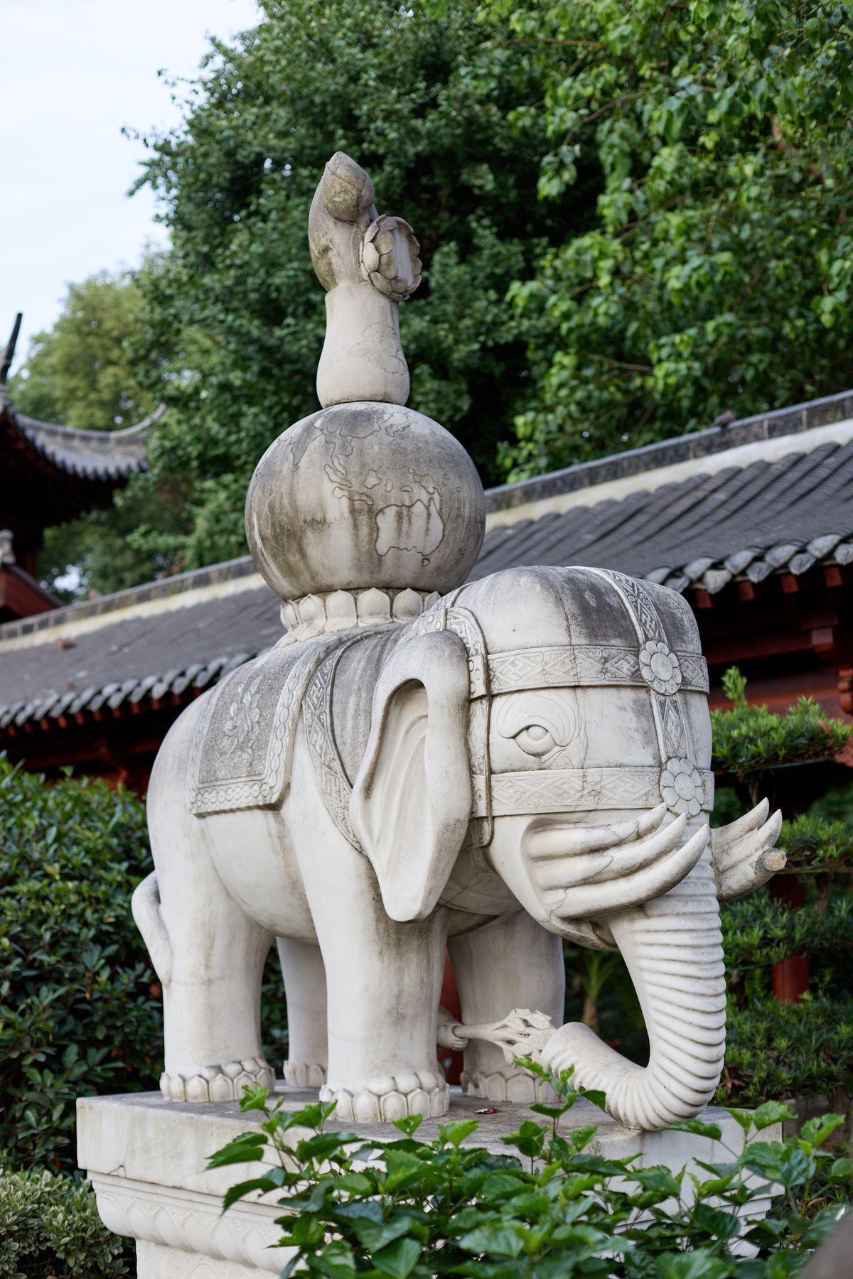 White Elephant Photos, Download The BEST Free White Elephant Stock ...