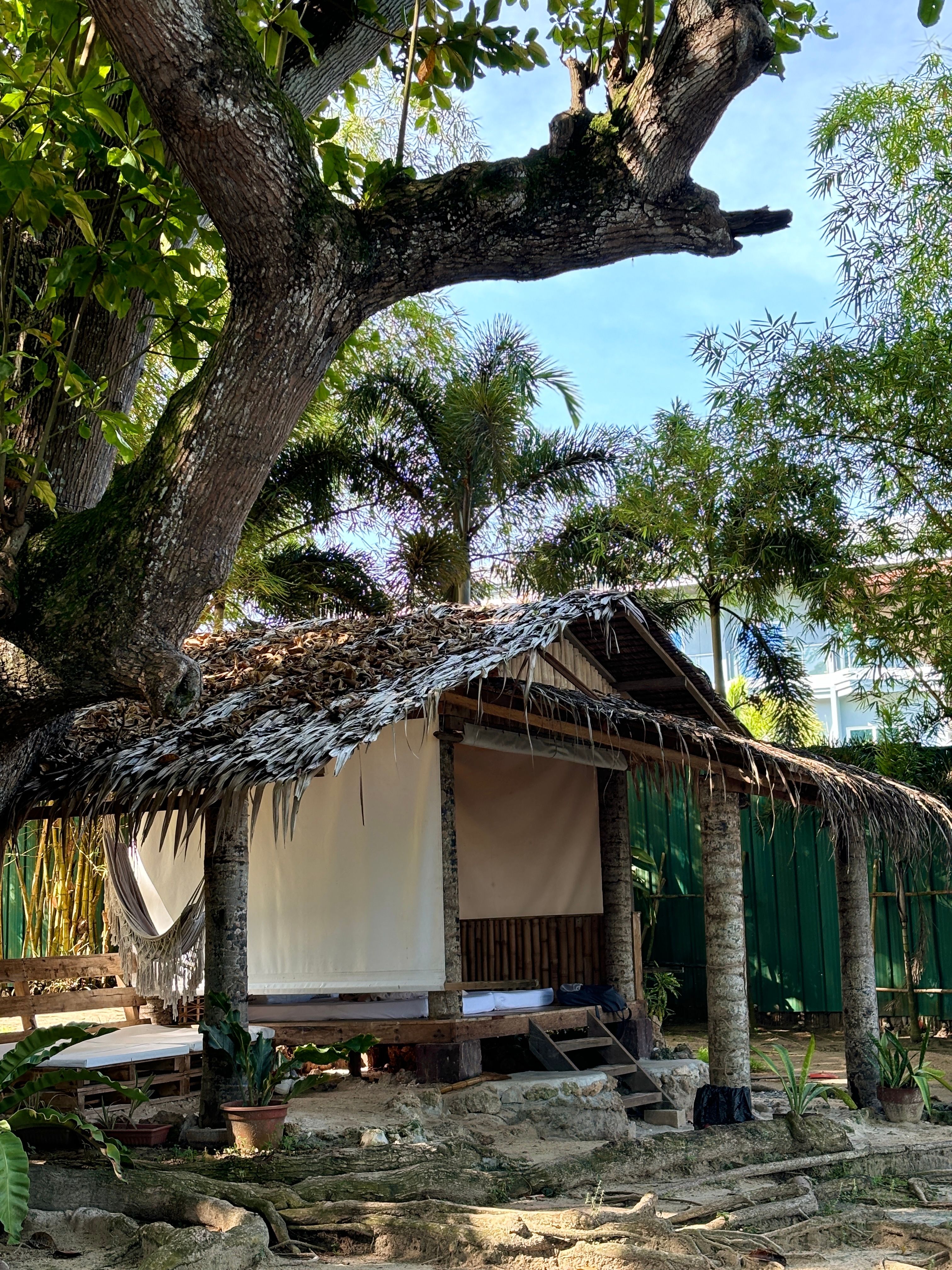 Rustic Tropical Hut Under Palm Trees · Free Stock Photo