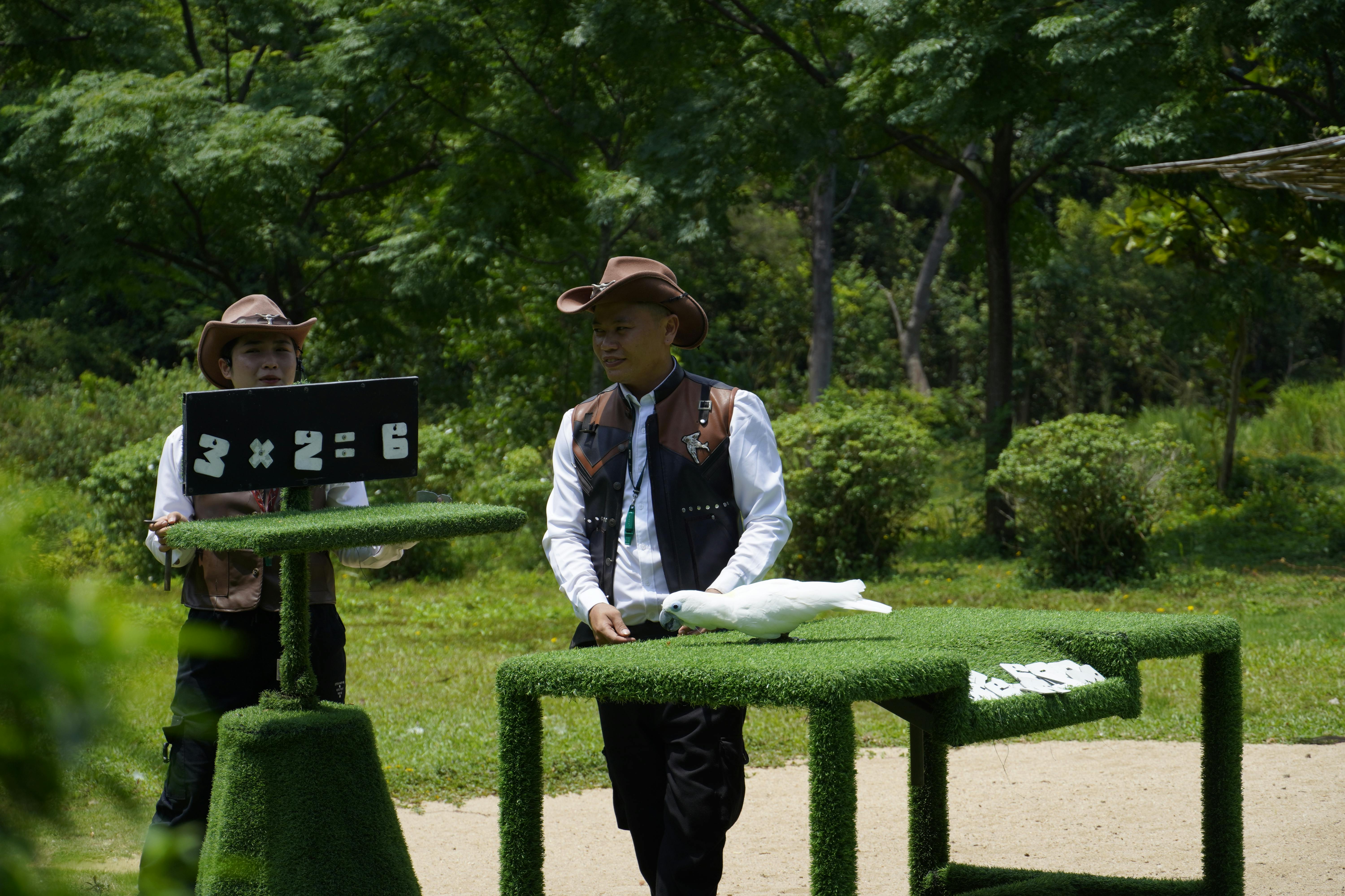 Goon Show Photos, Download The BEST Free Goon Show Stock Photos & HD Images