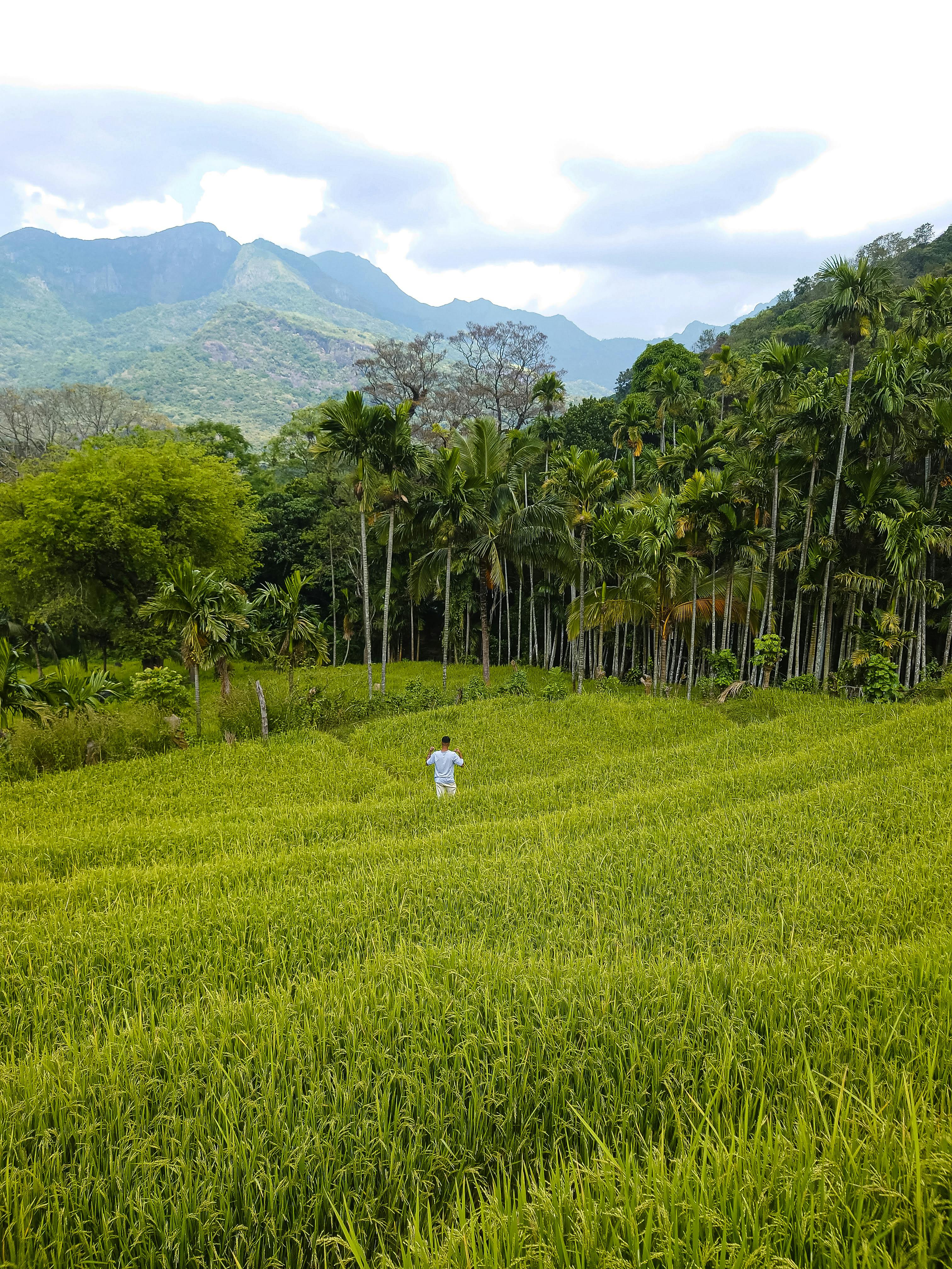 Green Bg Photos, Download The BEST Free Green Bg Stock Photos & HD Images