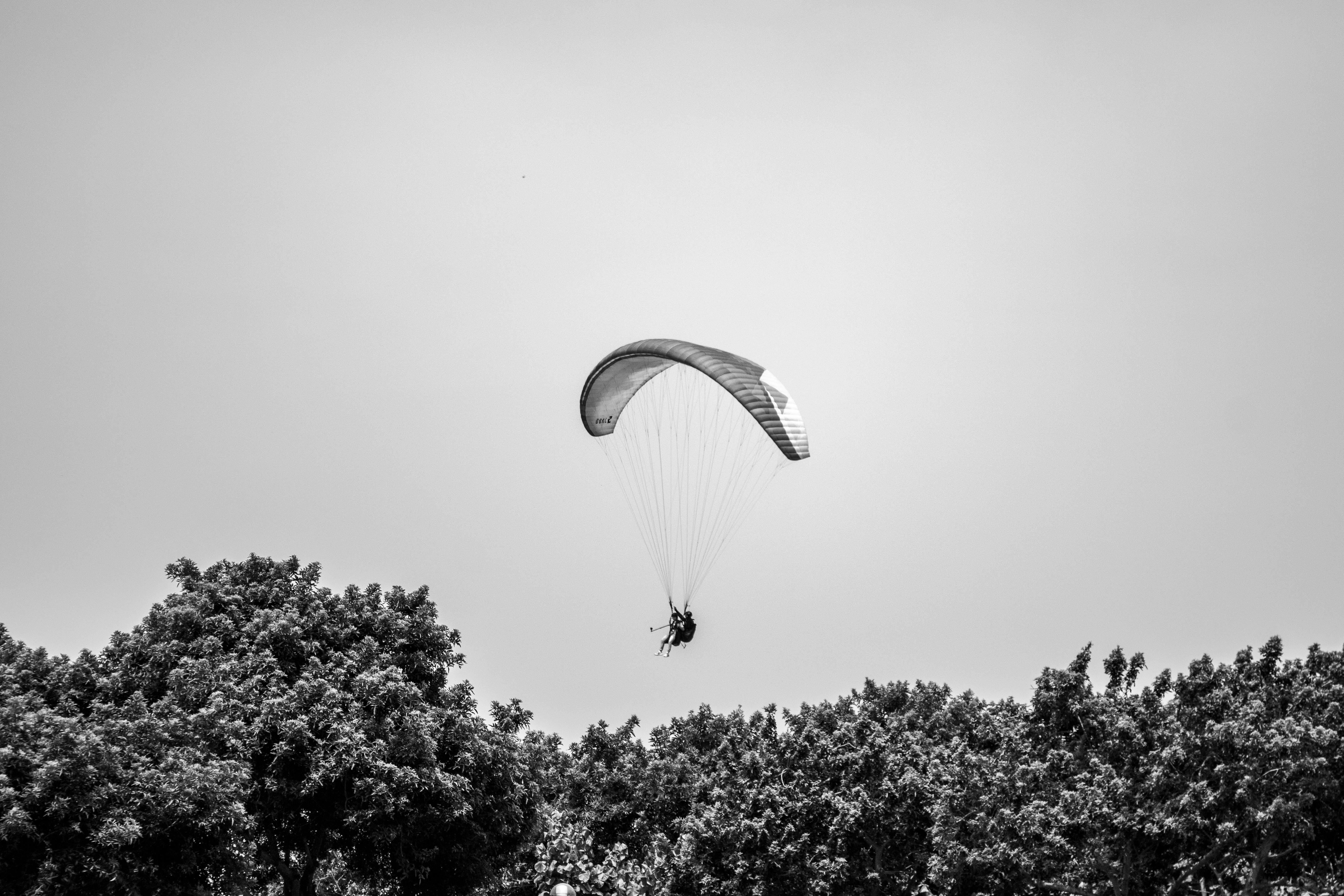 Paraglider Soaring Above Trees in Lima, Peru · Free Stock Photo
