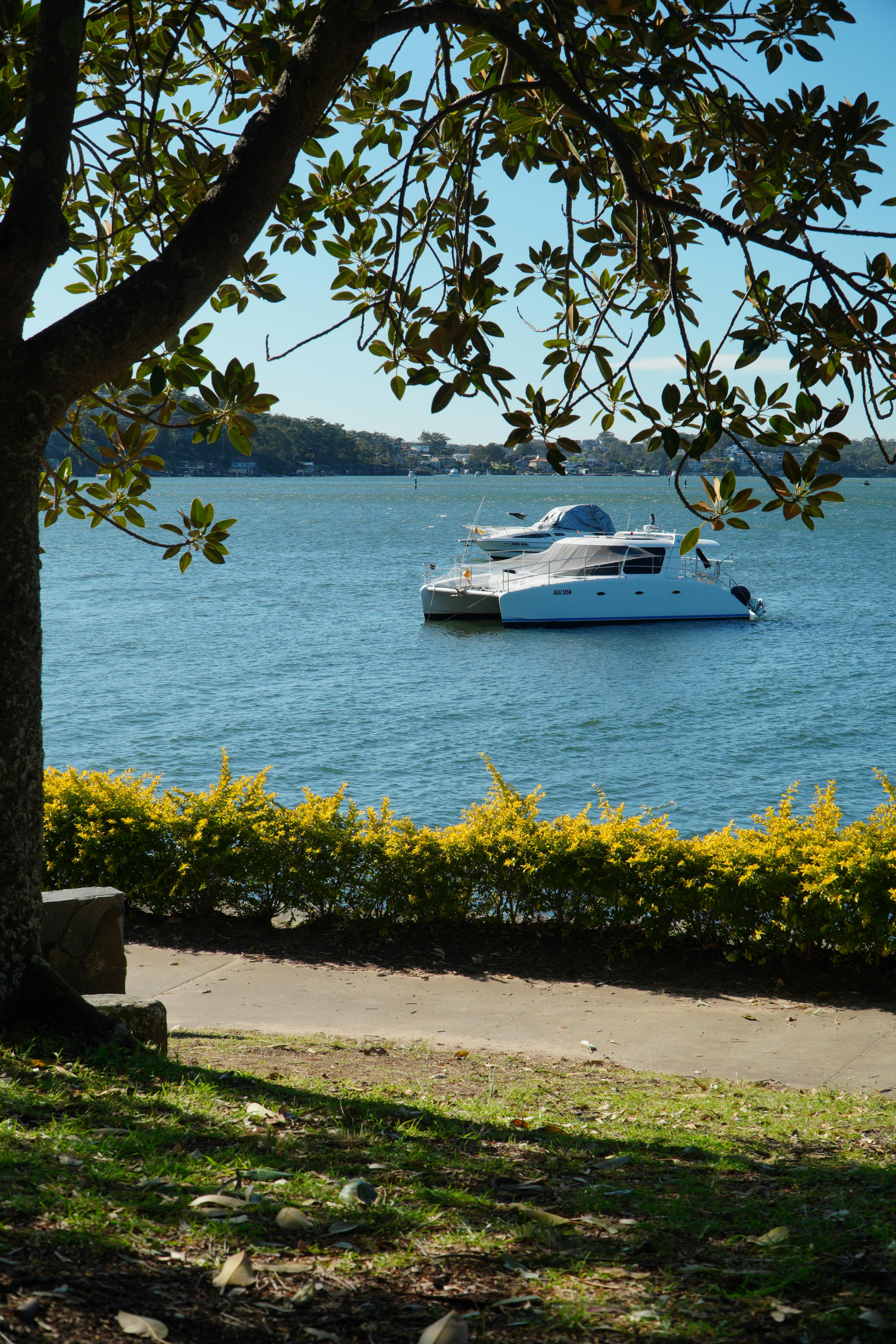 Samaritans Idles Photos, Download The BEST Free Samaritans Idles Stock ...