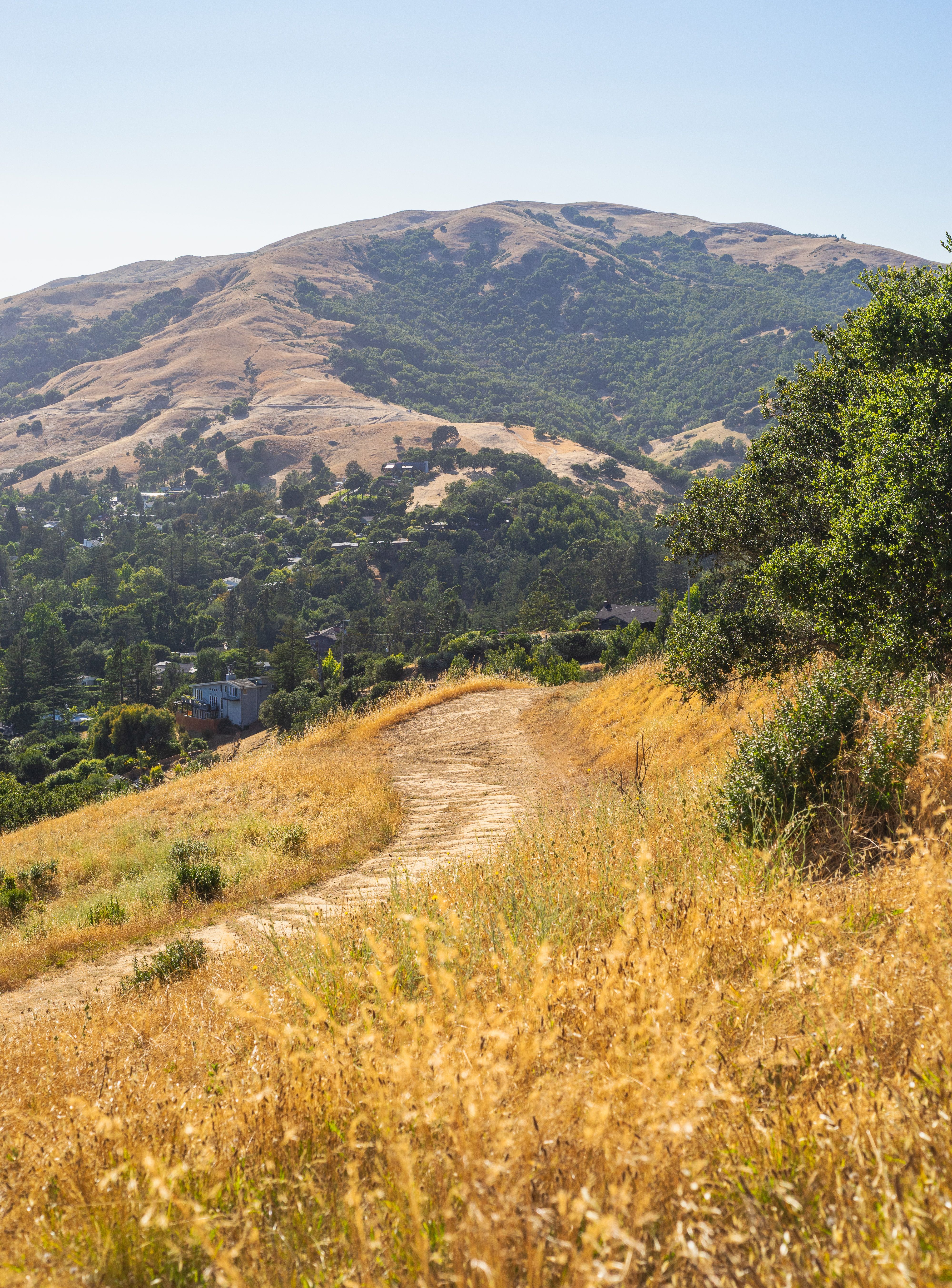 Winding Path Countryside Photos, Download The BEST Free Winding Path ...