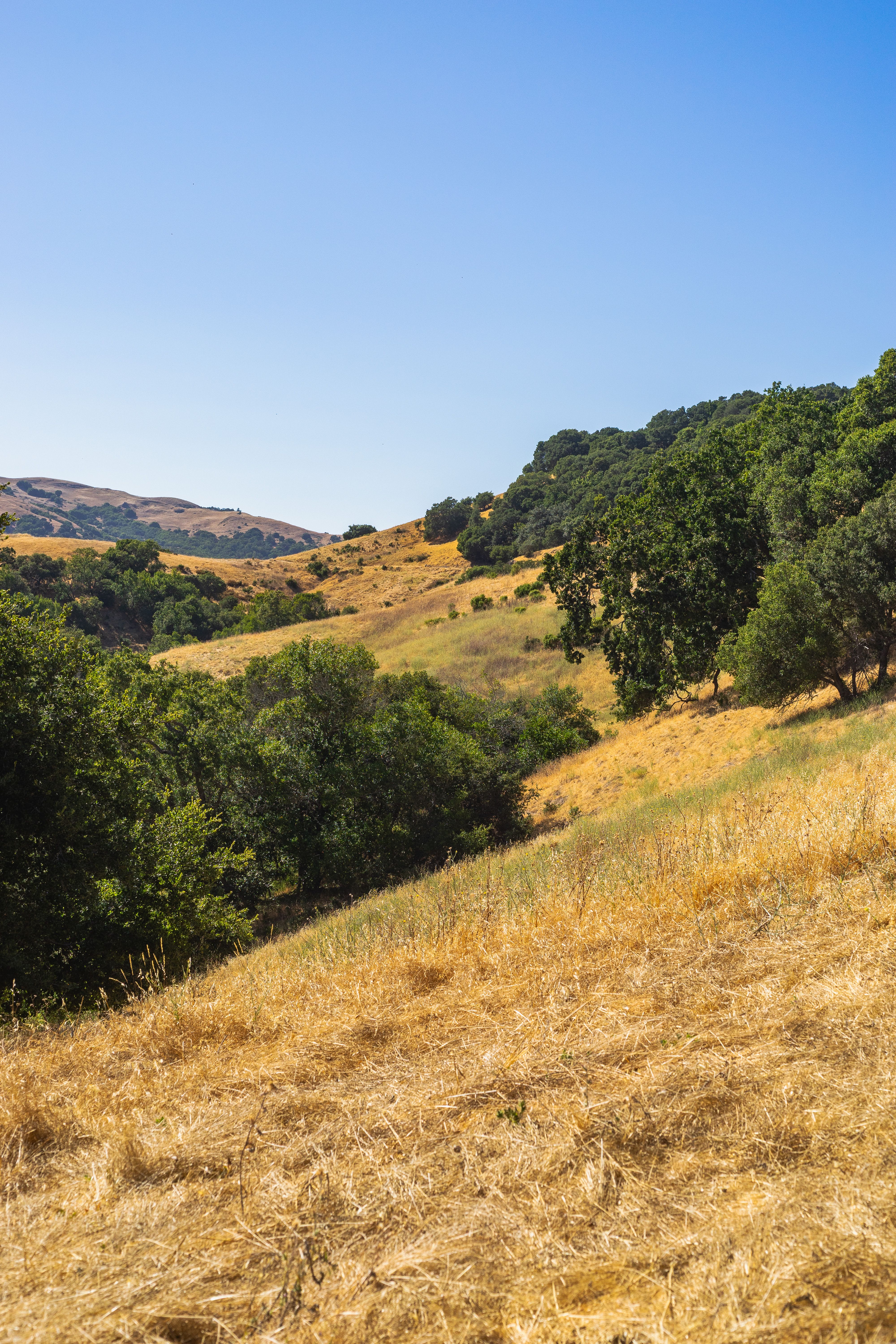 Simi Valley California Photos, Download The BEST Free Simi Valley ...