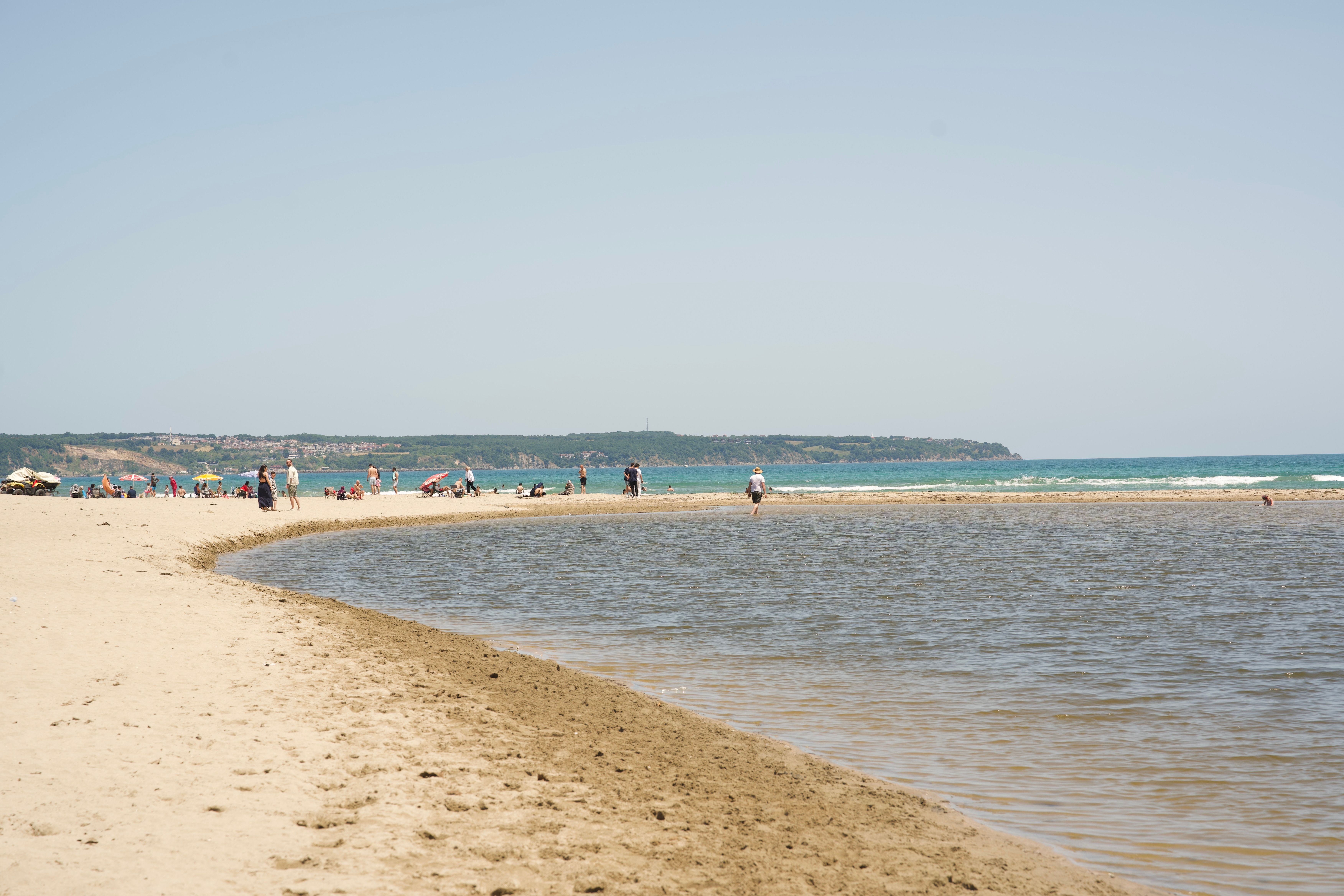 Swim In The Beach Photos, Download The BEST Free Swim In The Beach ...