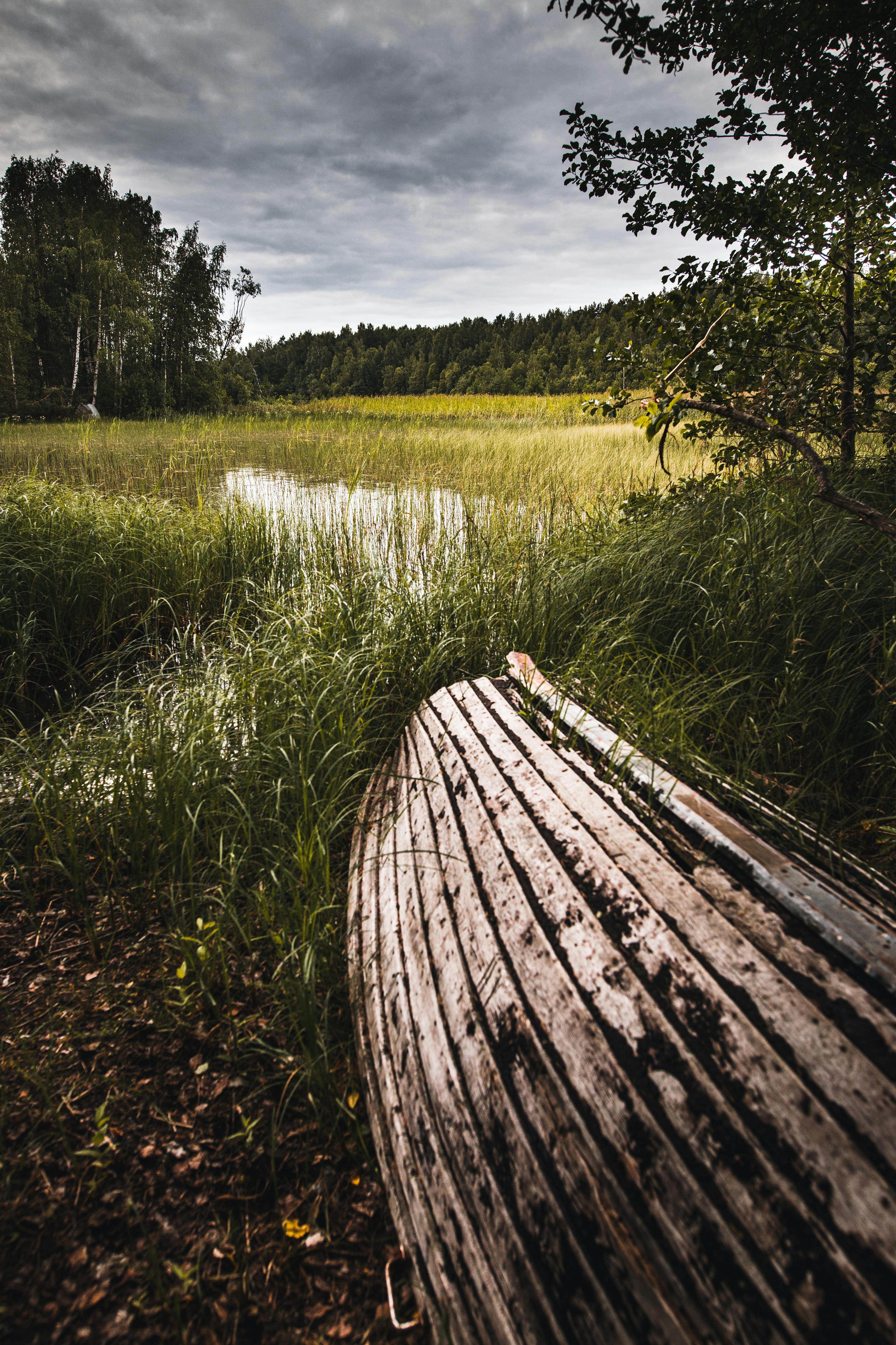 Fundal Bank Photos, Download The BEST Free Fundal Bank Stock Photos ...