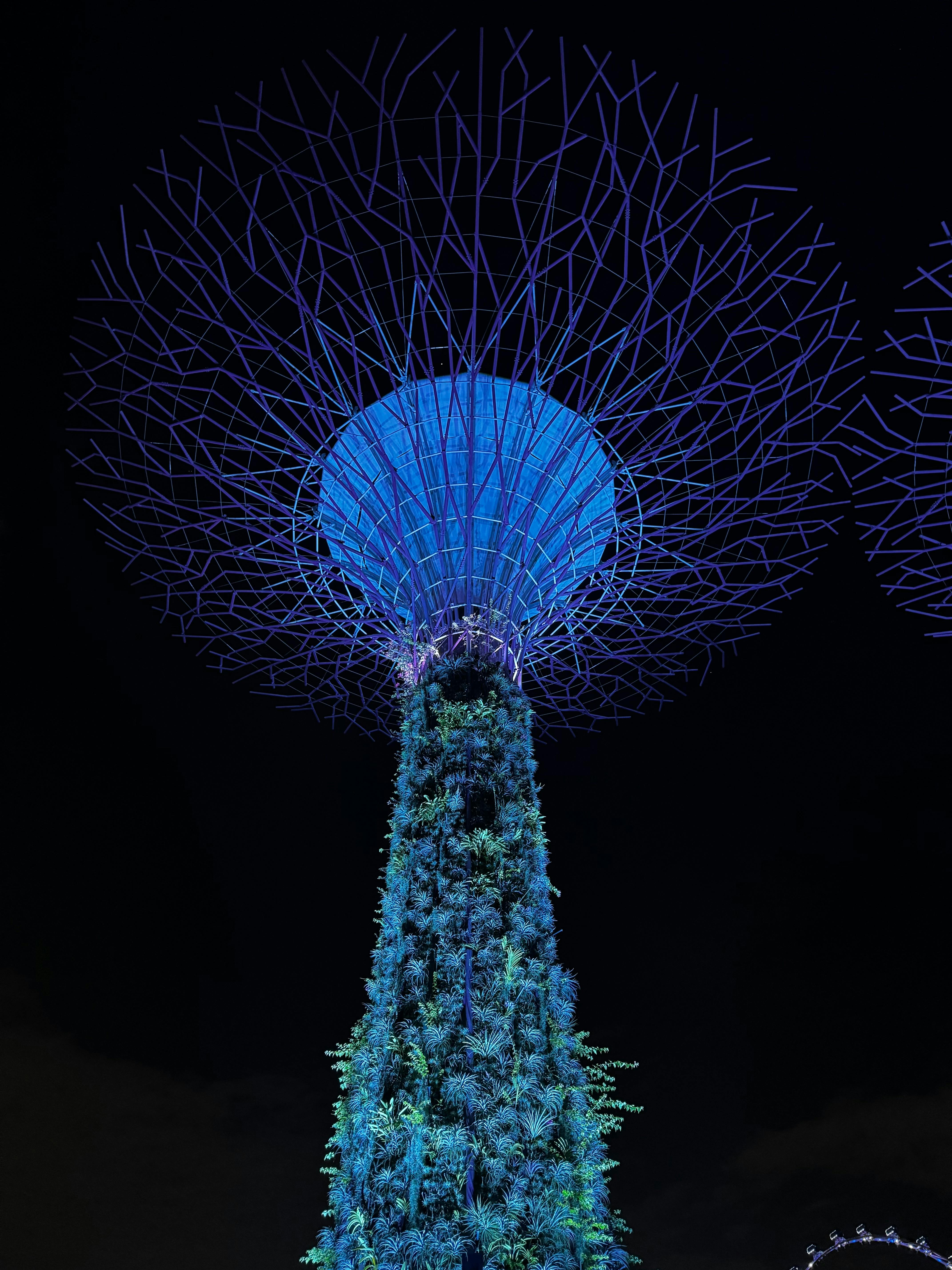 Illuminated Supertree Grove at Night in Singapore · Free Stock Photo