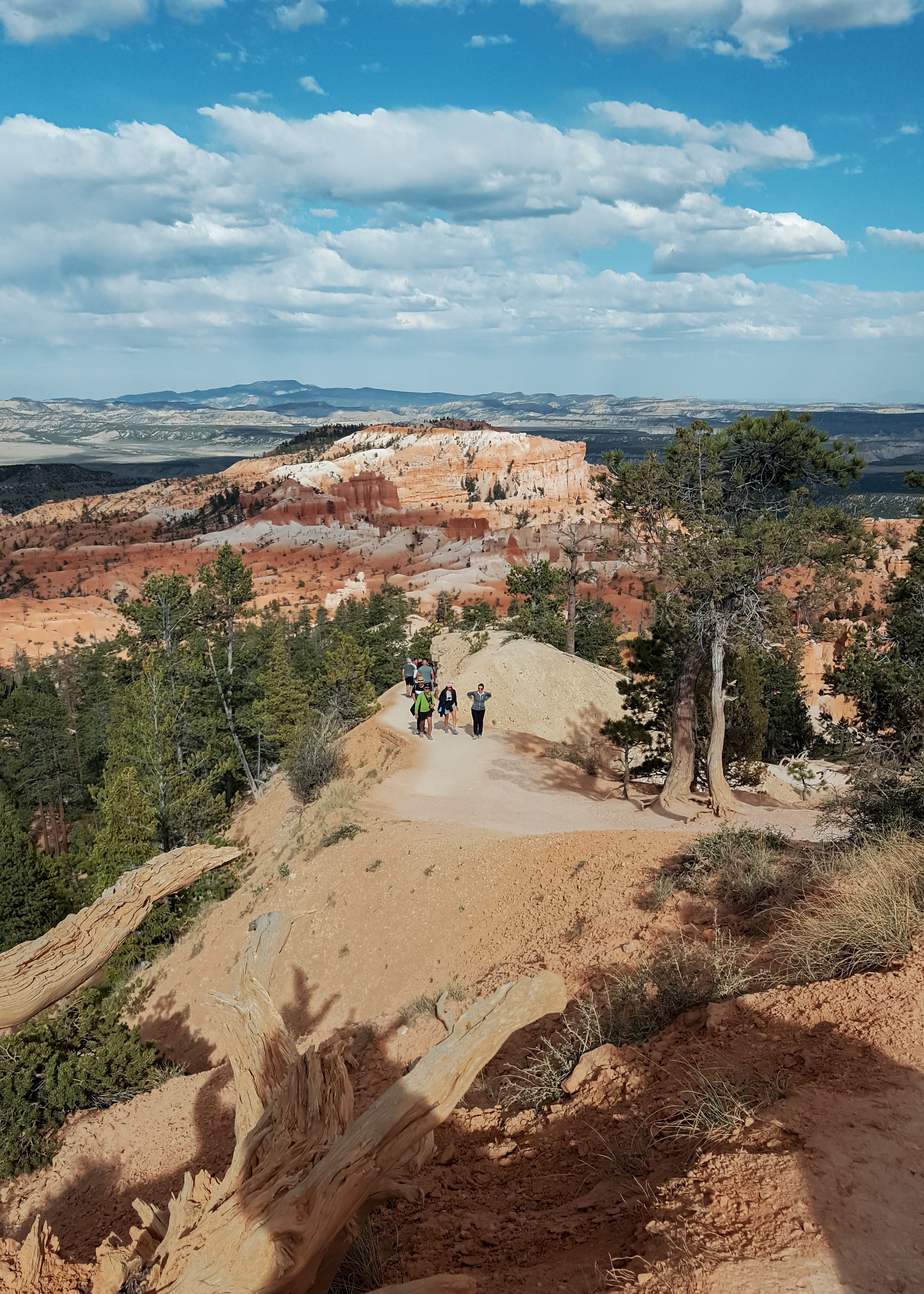 Hiking Trail, Forest Photos, Download The BEST Free Hiking Trail ...