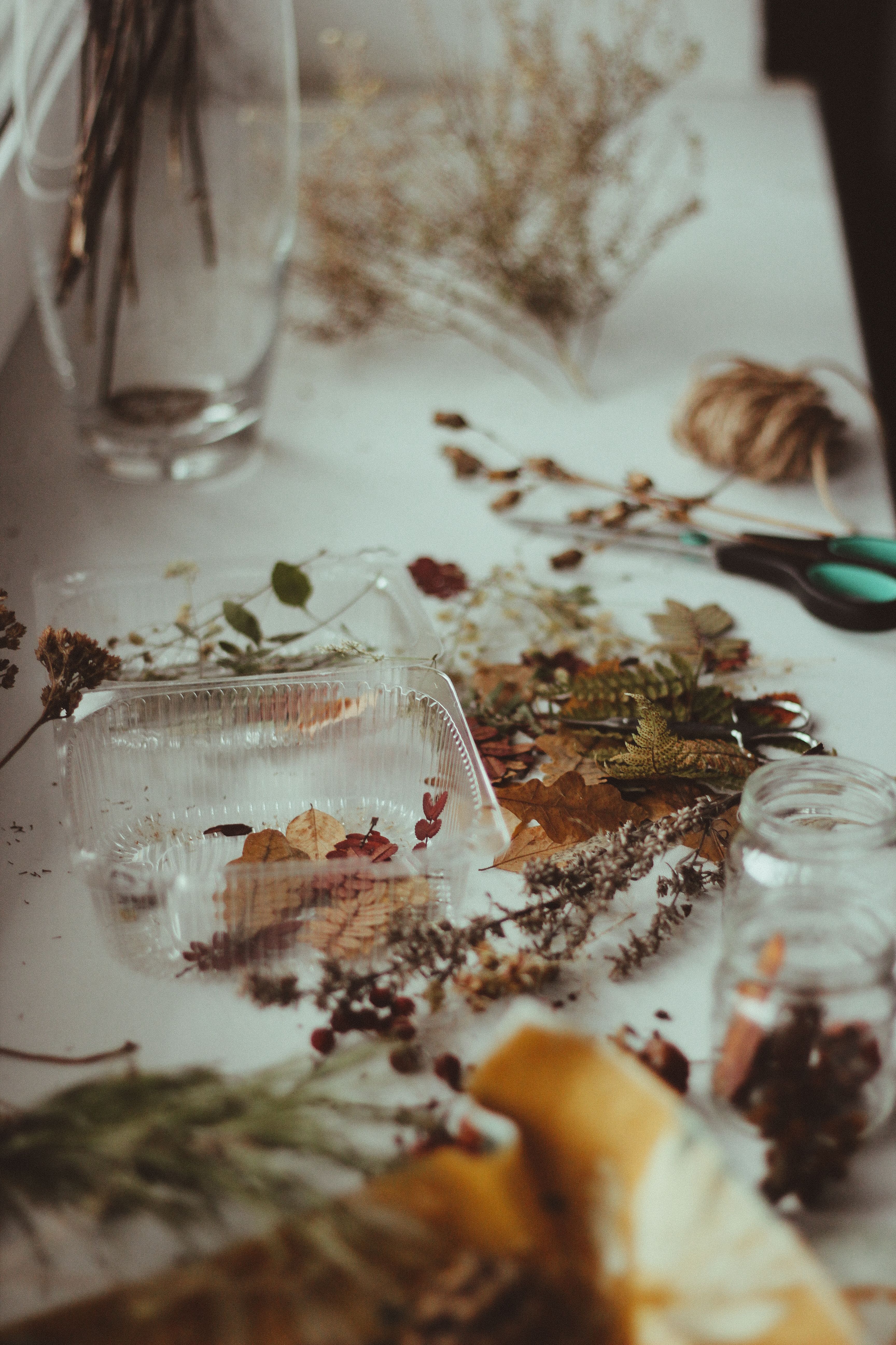 Dried Leaves On A Clear Plastic Container · Free Stock Photo