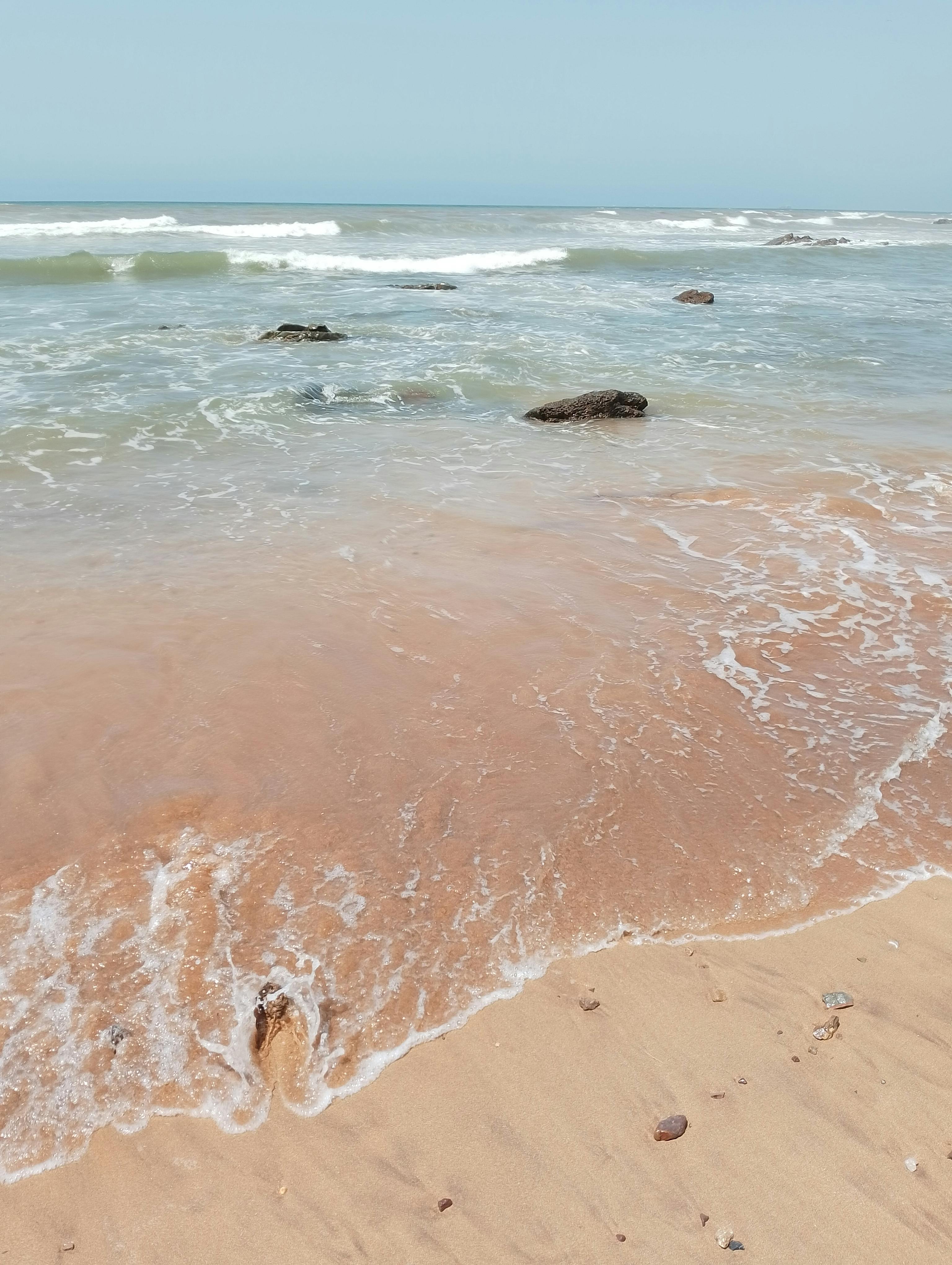 Logo Ensam Casablanca Photos, Download The BEST Free Logo Ensam ...