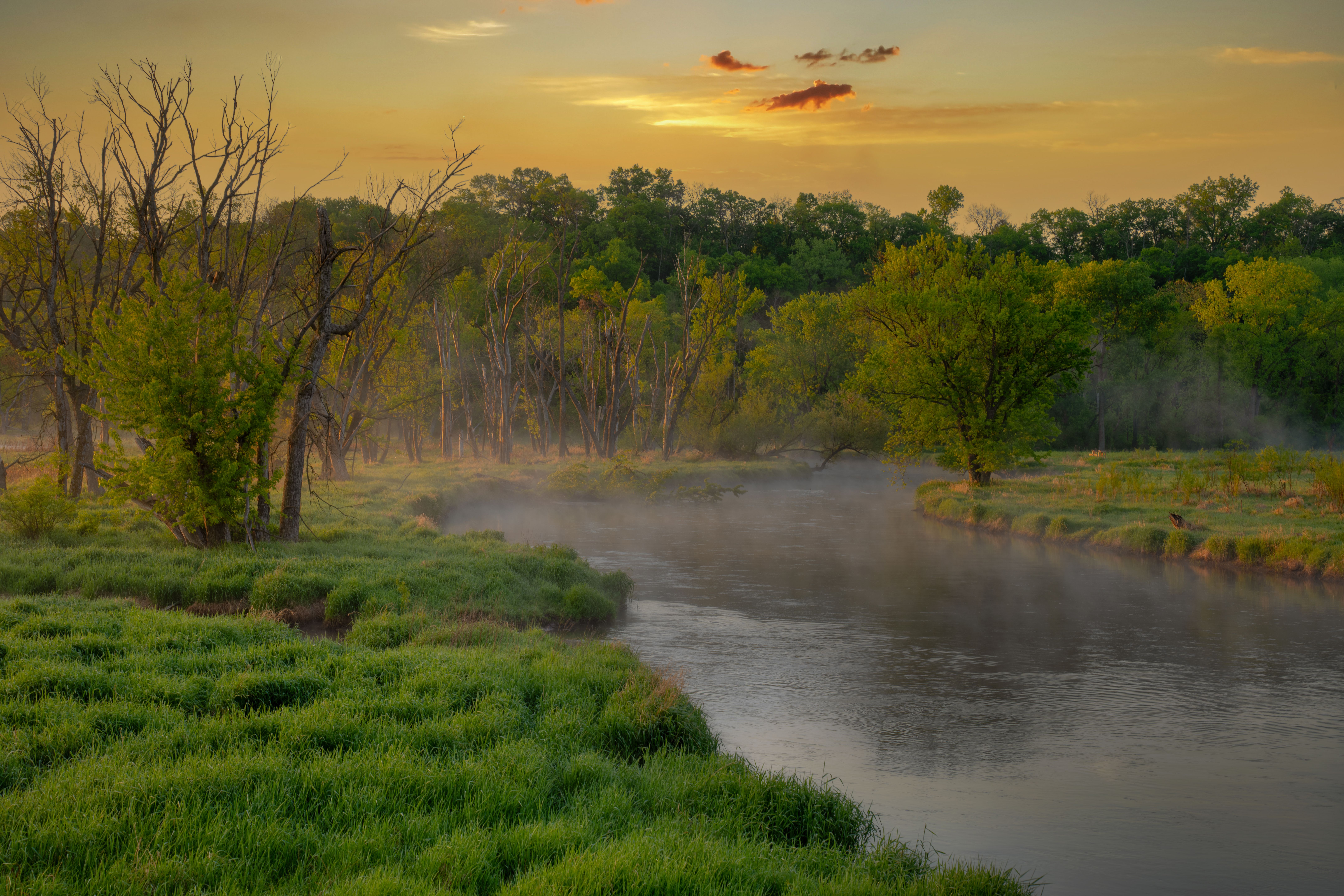 Serene River Landscape at Sunrise in Wisconsin · Free Stock Photo