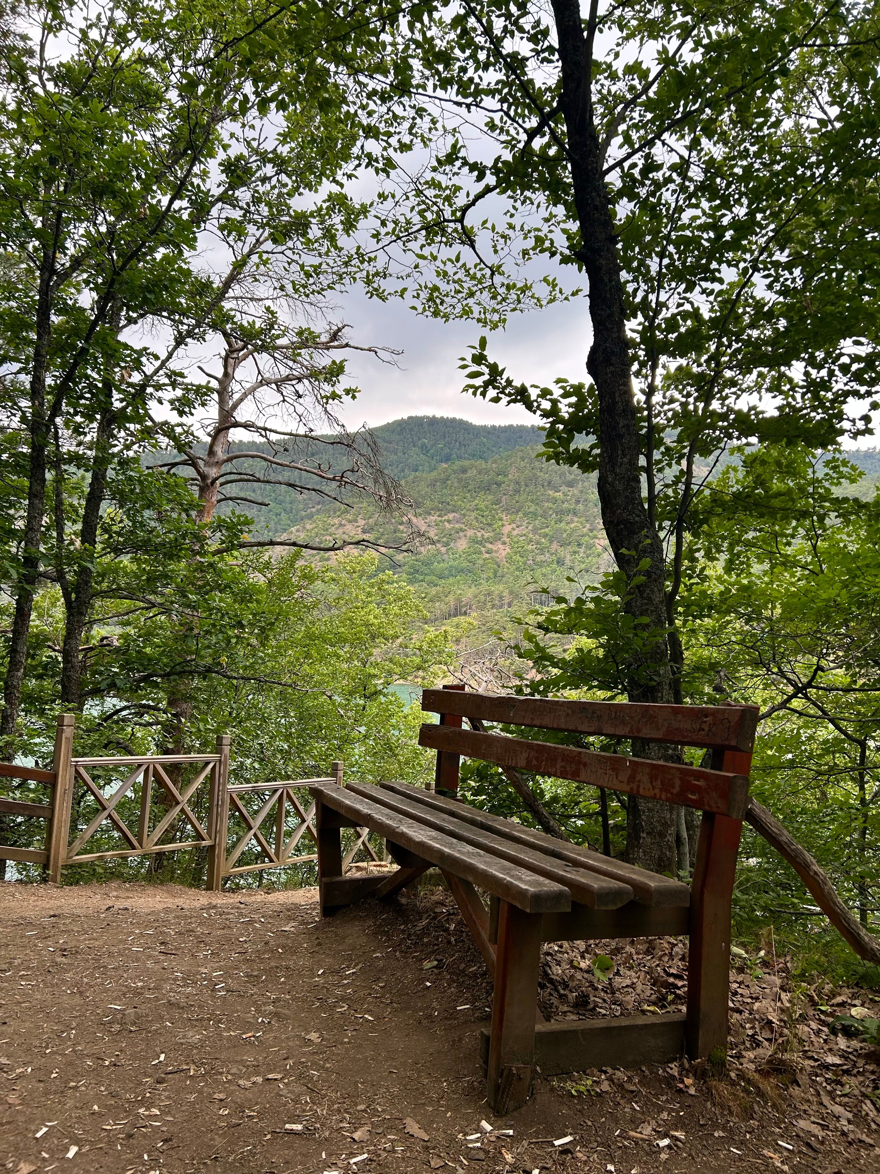 Serene Forest Bench Overlooking Scenic Valley · Free Stock Photo