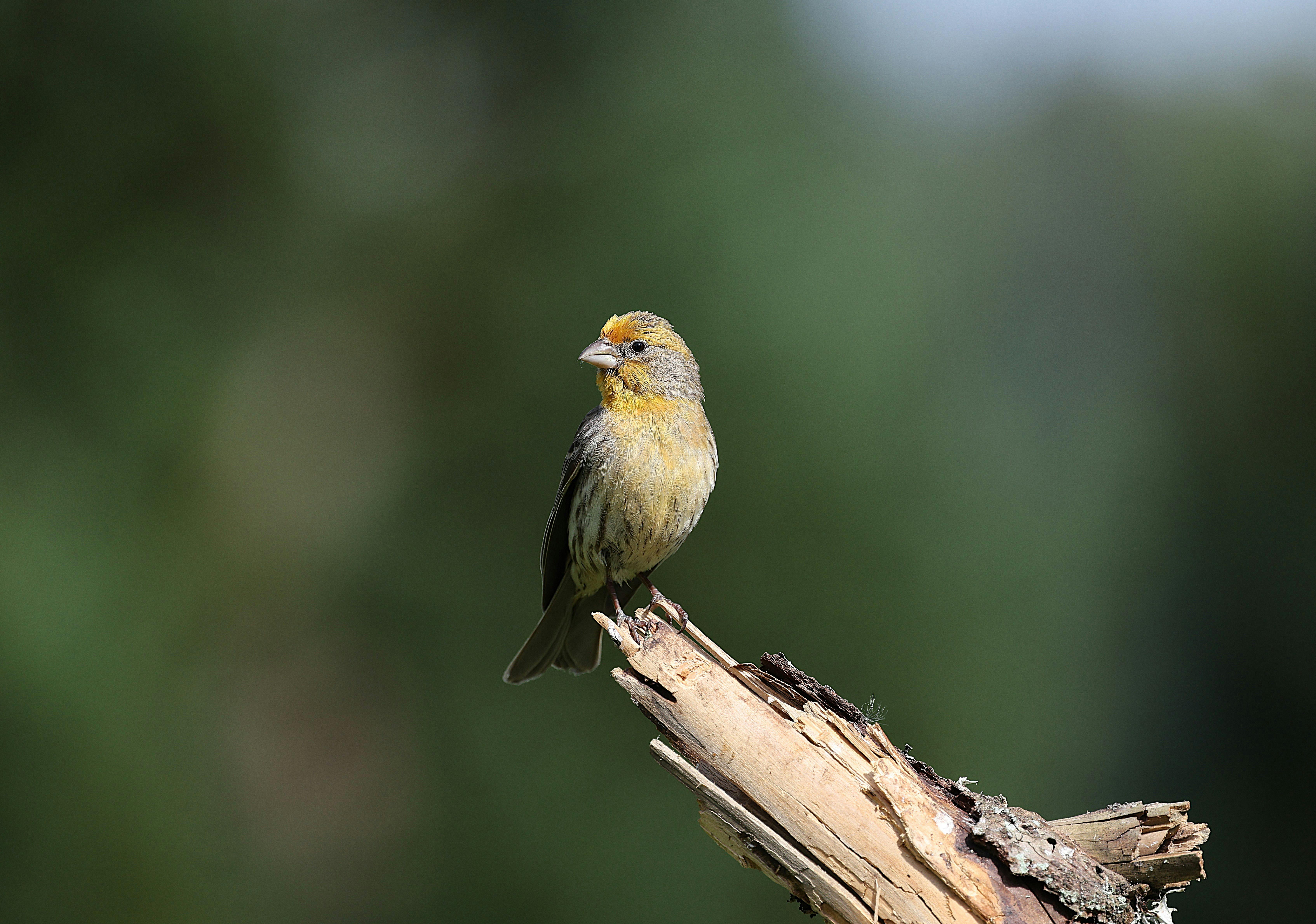 Calming Backgrounds Photos, Download The BEST Free Calming Backgrounds ...