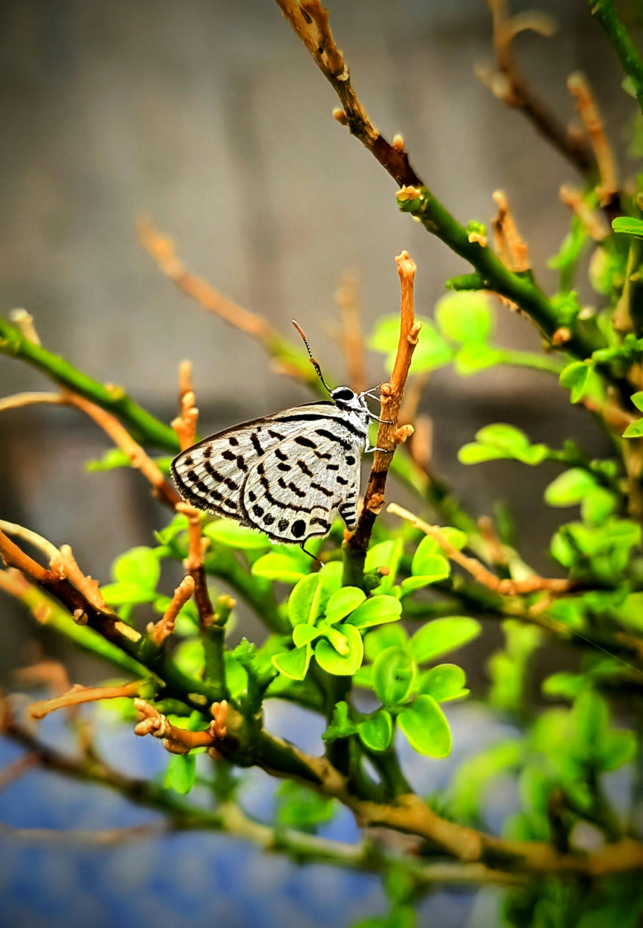 Peaceful Texture Photos, Download The BEST Free Peaceful Texture Stock ...