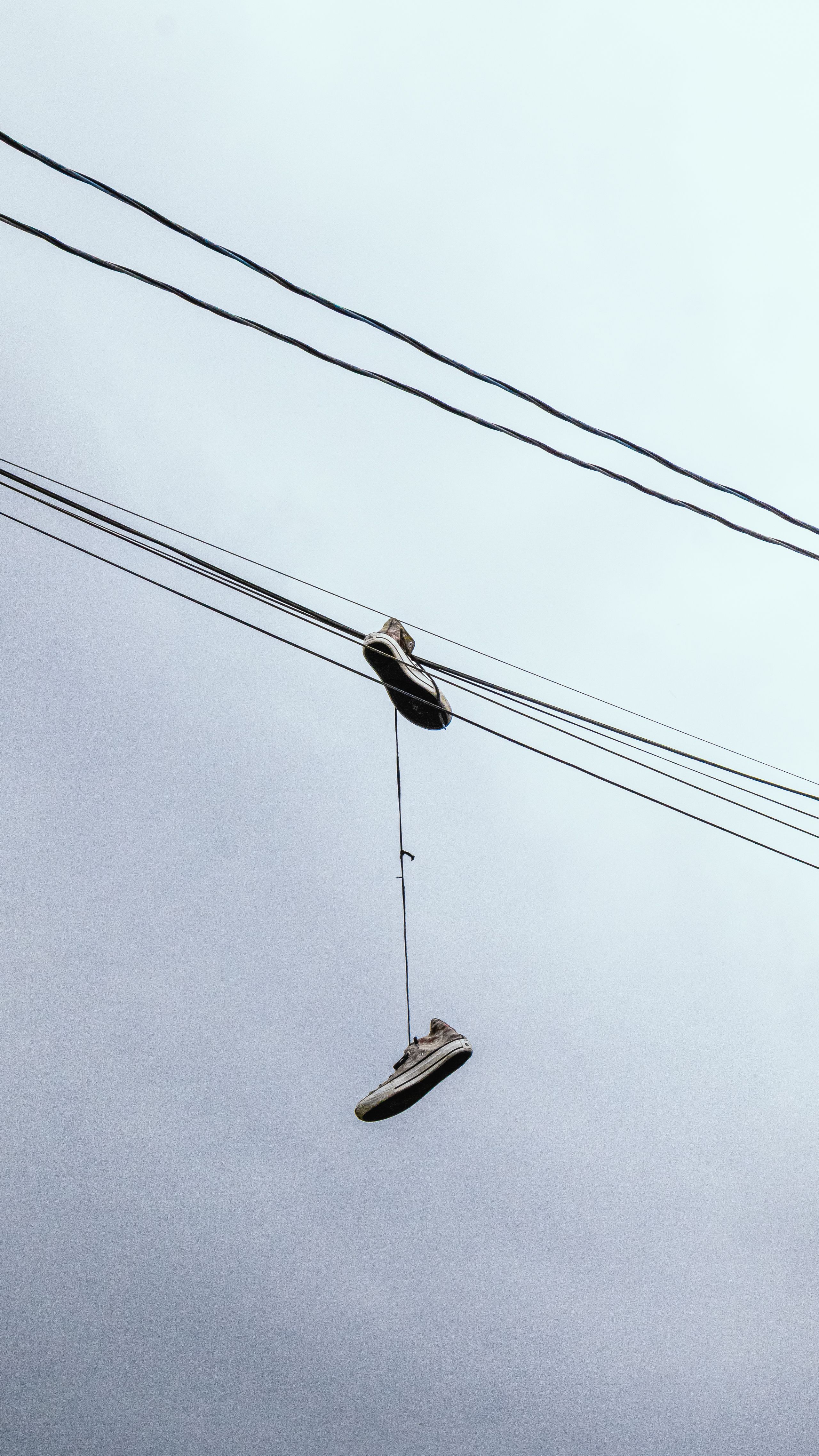 Vans Sneaker Photos, Download The BEST Free Vans Sneaker Stock Photos ...