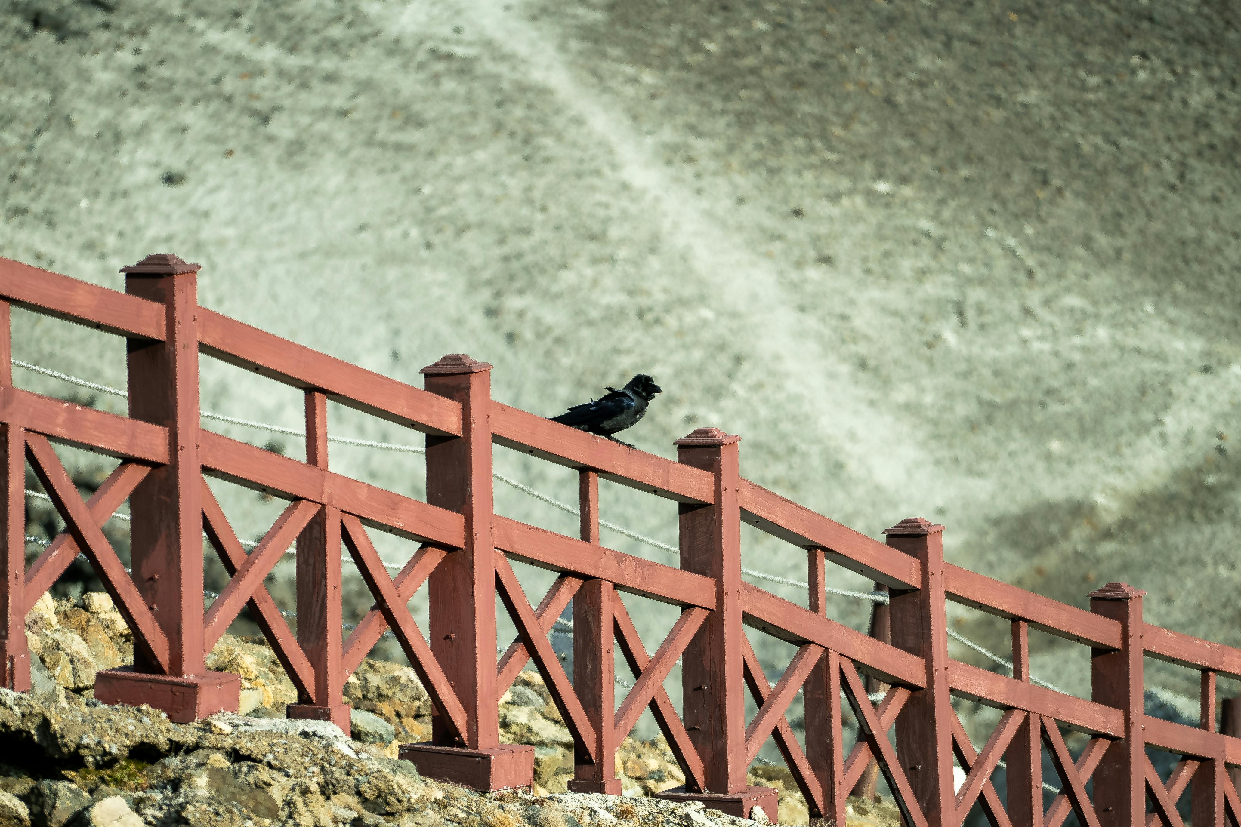 Observation Photos, Download The BEST Free Observation Stock Photos ...