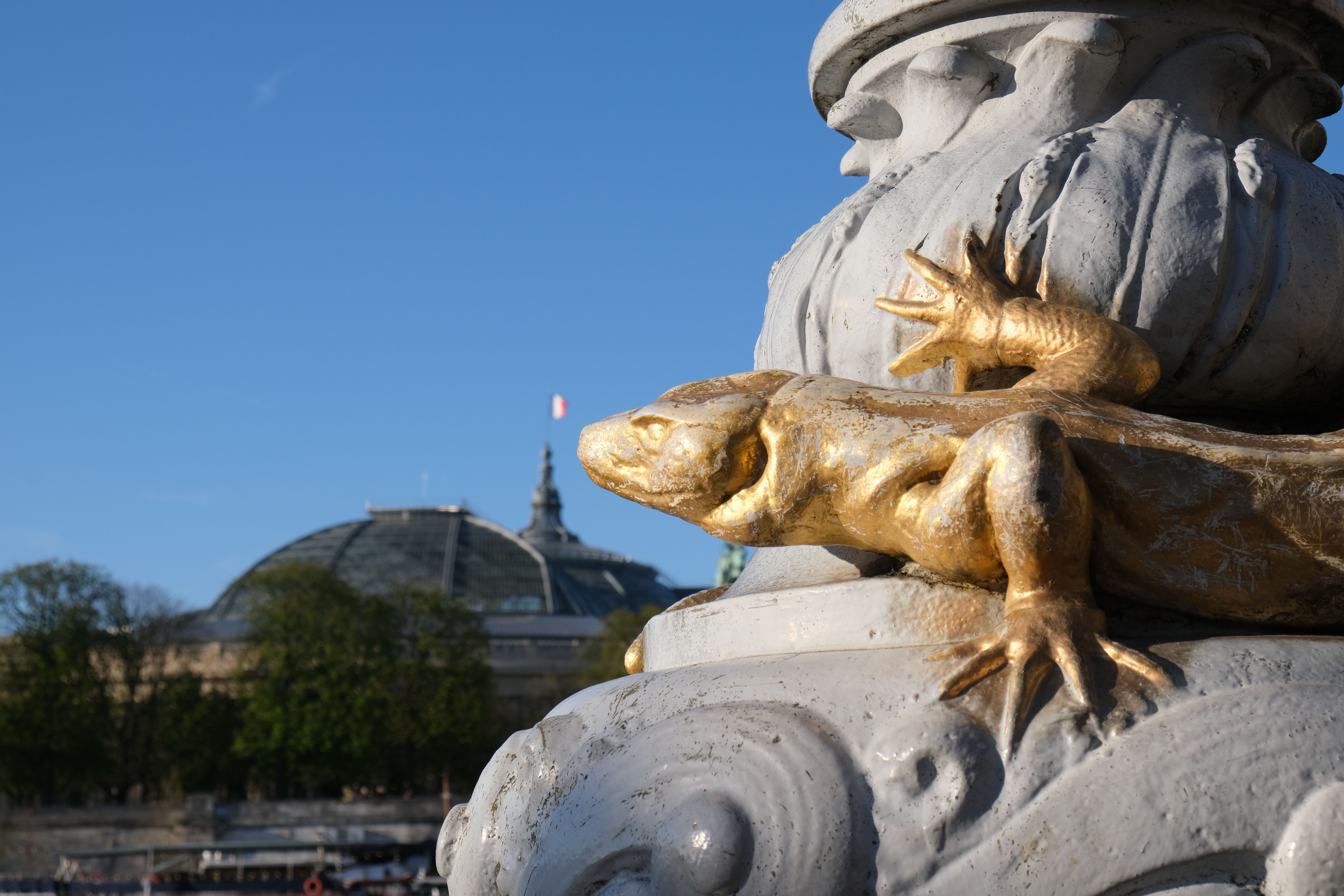 Golden Lizard Photos, Download The BEST Free Golden Lizard Stock Photos ...