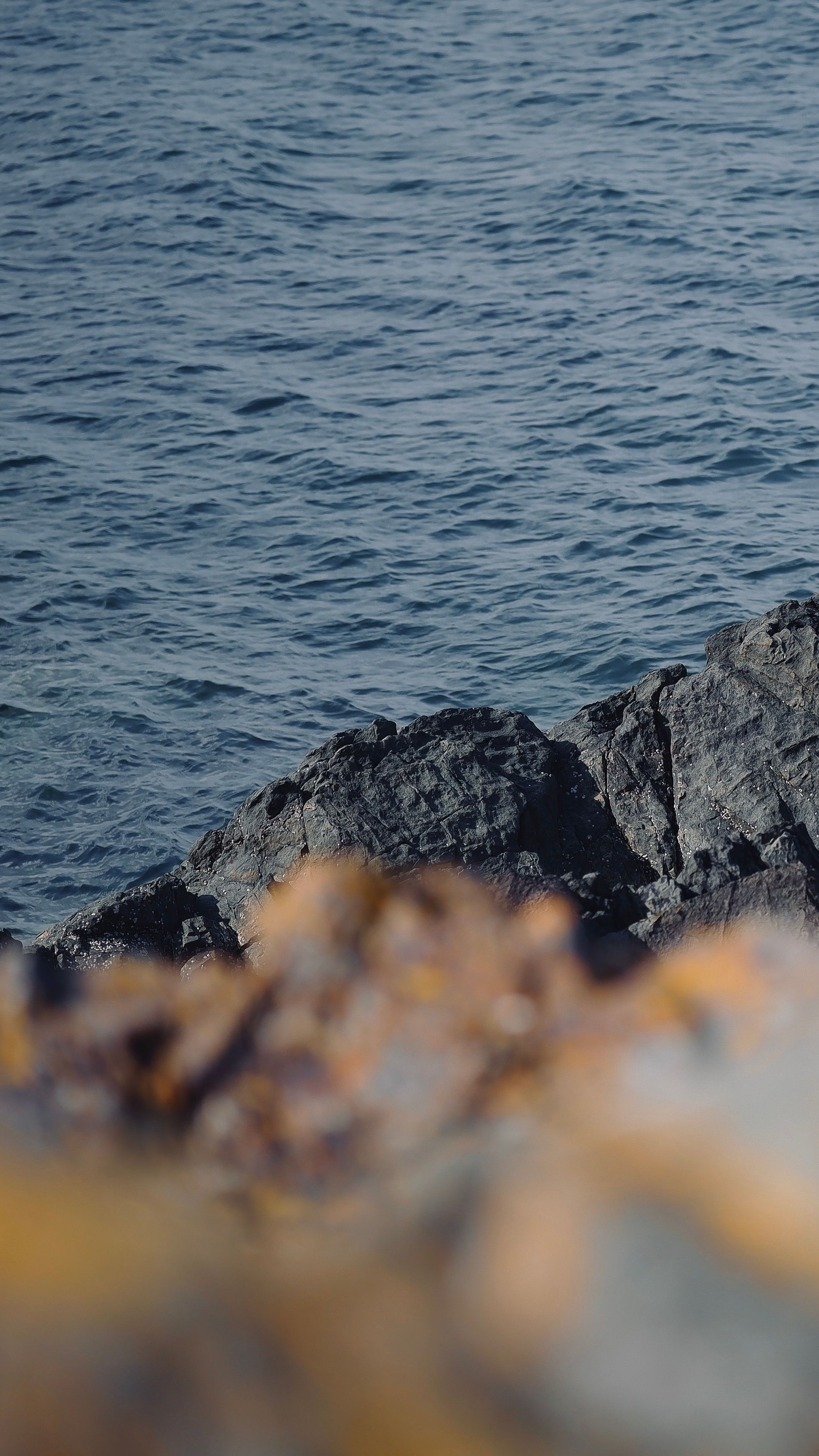 Rocky Coastline with Calm Ocean Background · Free Stock Photo