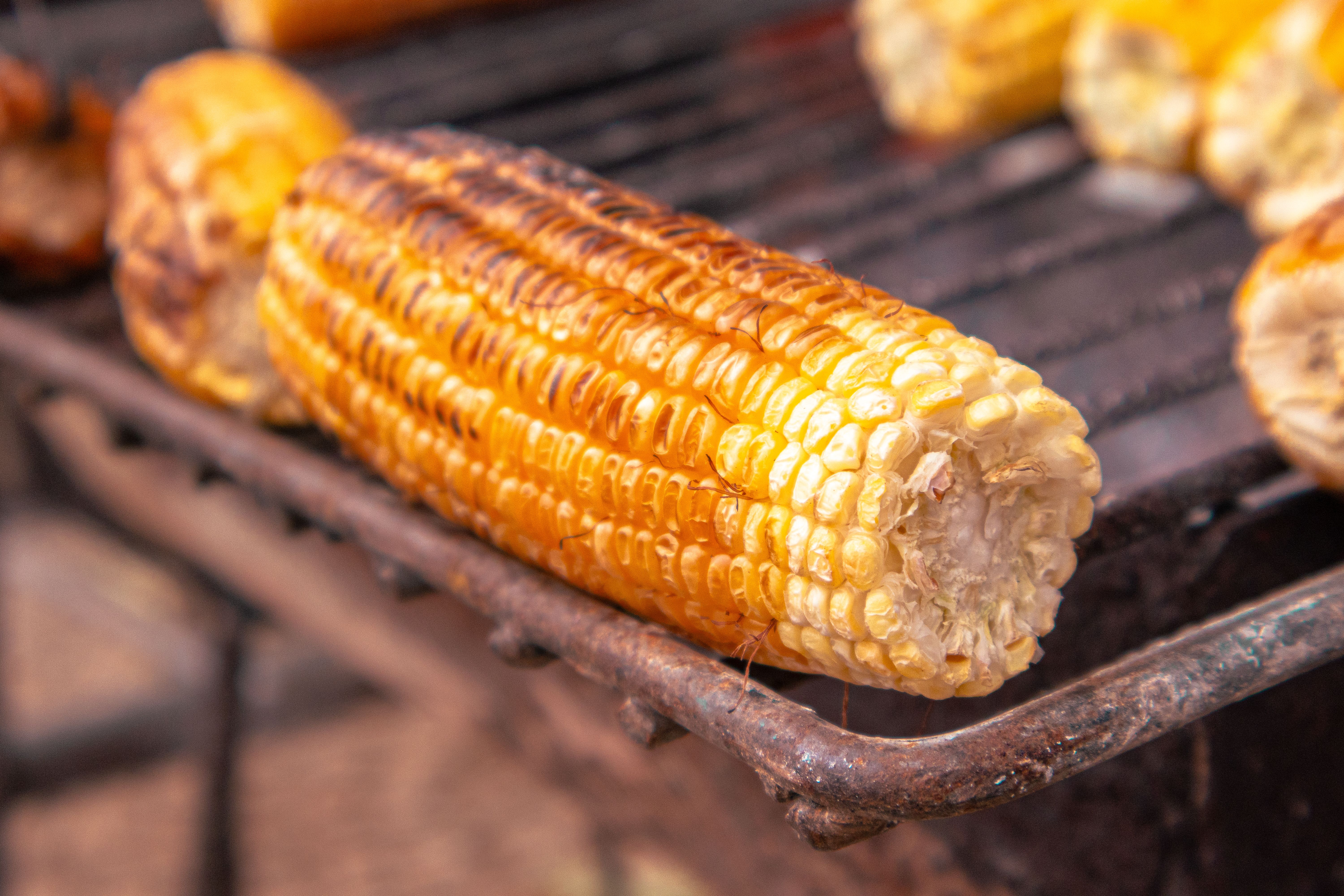 Summer Food Photos, Download The BEST Free Summer Food Stock Photos ...